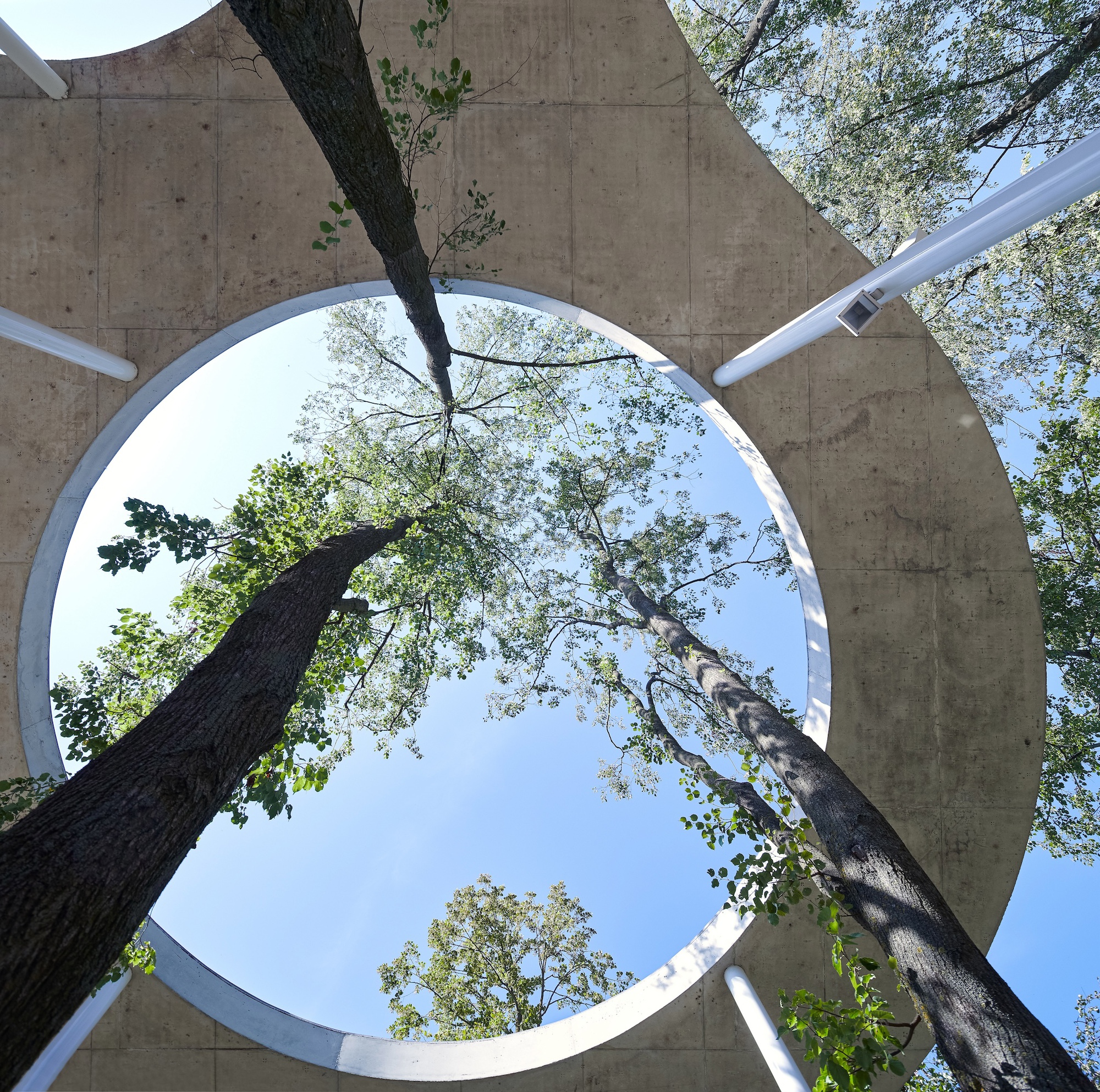 Gallery of Archi/Tree/tecture: Lithuania’s Pavilion at the 2025 Venice ...