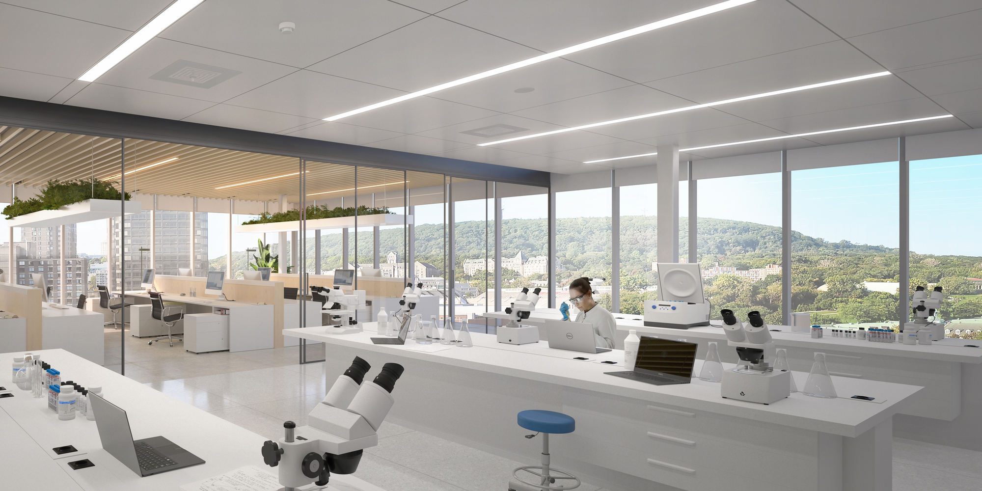 Gallery of From Hospital to Medical Research Hub: How the Montreal ...