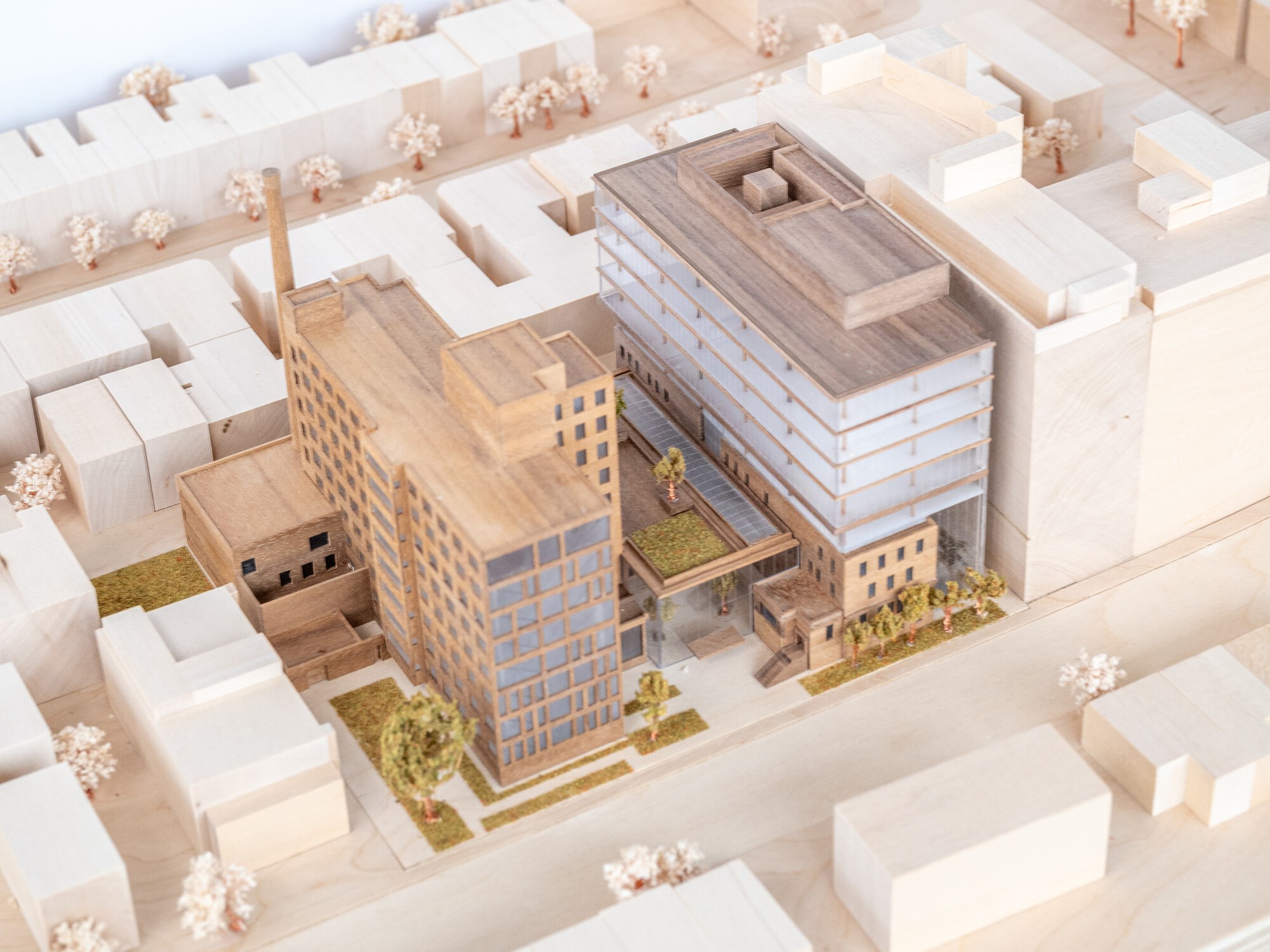 Gallery of From Hospital to Medical Research Hub: How the Montreal ...