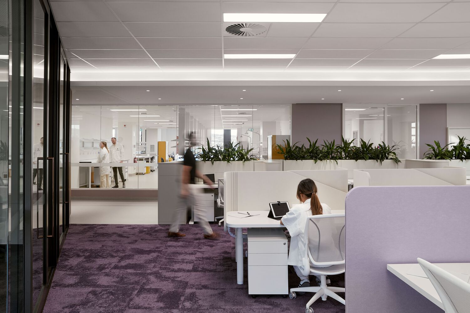 Gallery of Health and Medical Research Building / Architectus - 26