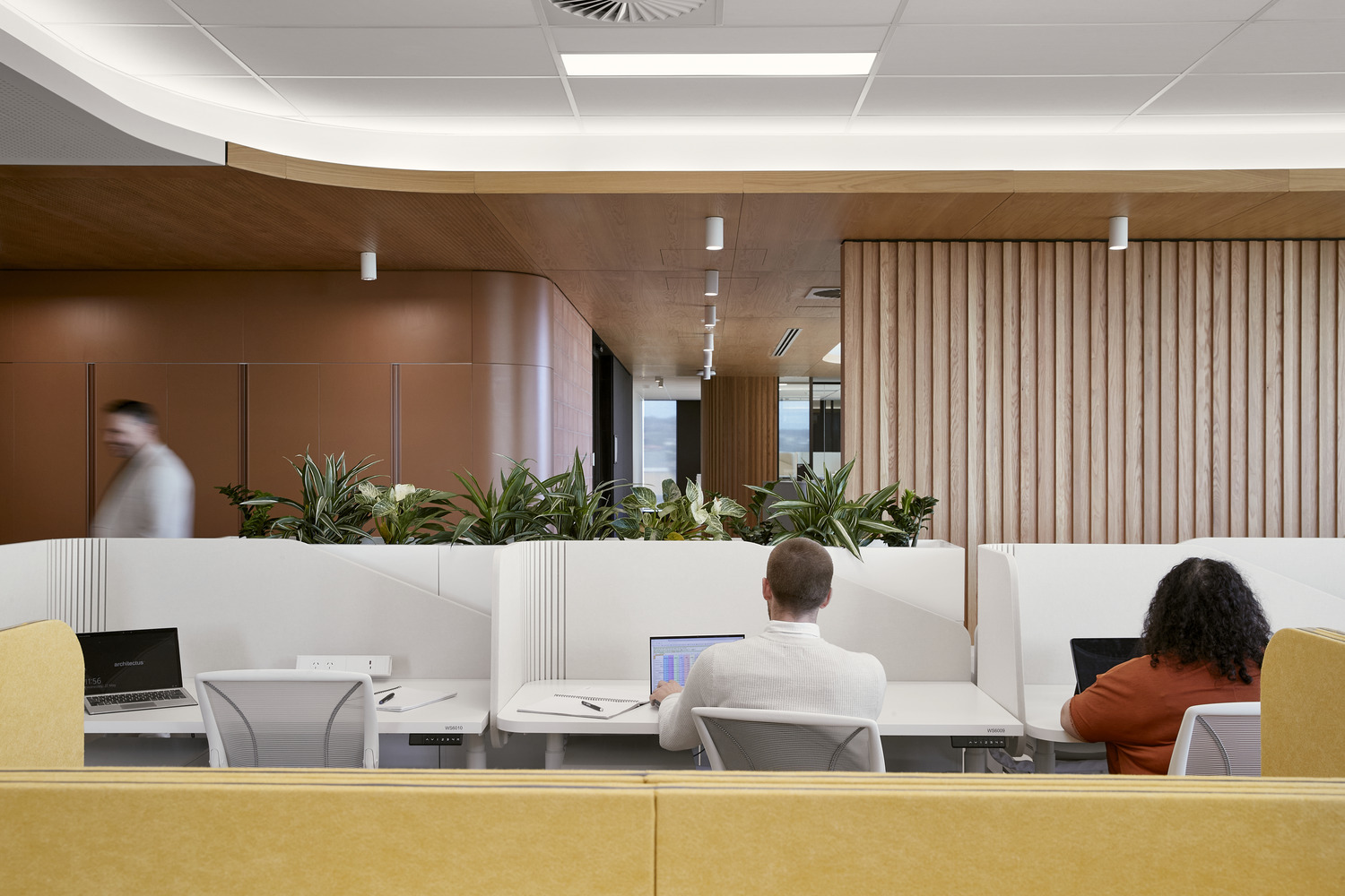 Gallery of Health and Medical Research Building / Architectus - 16