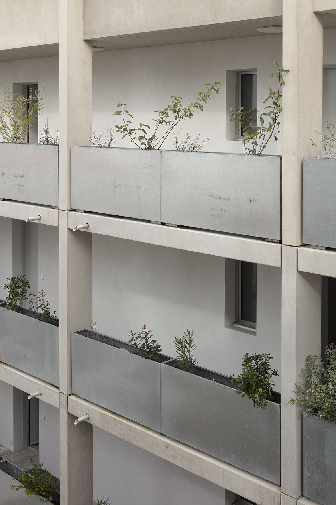 Gallery of Inouï Collective Housing / A6A - 17