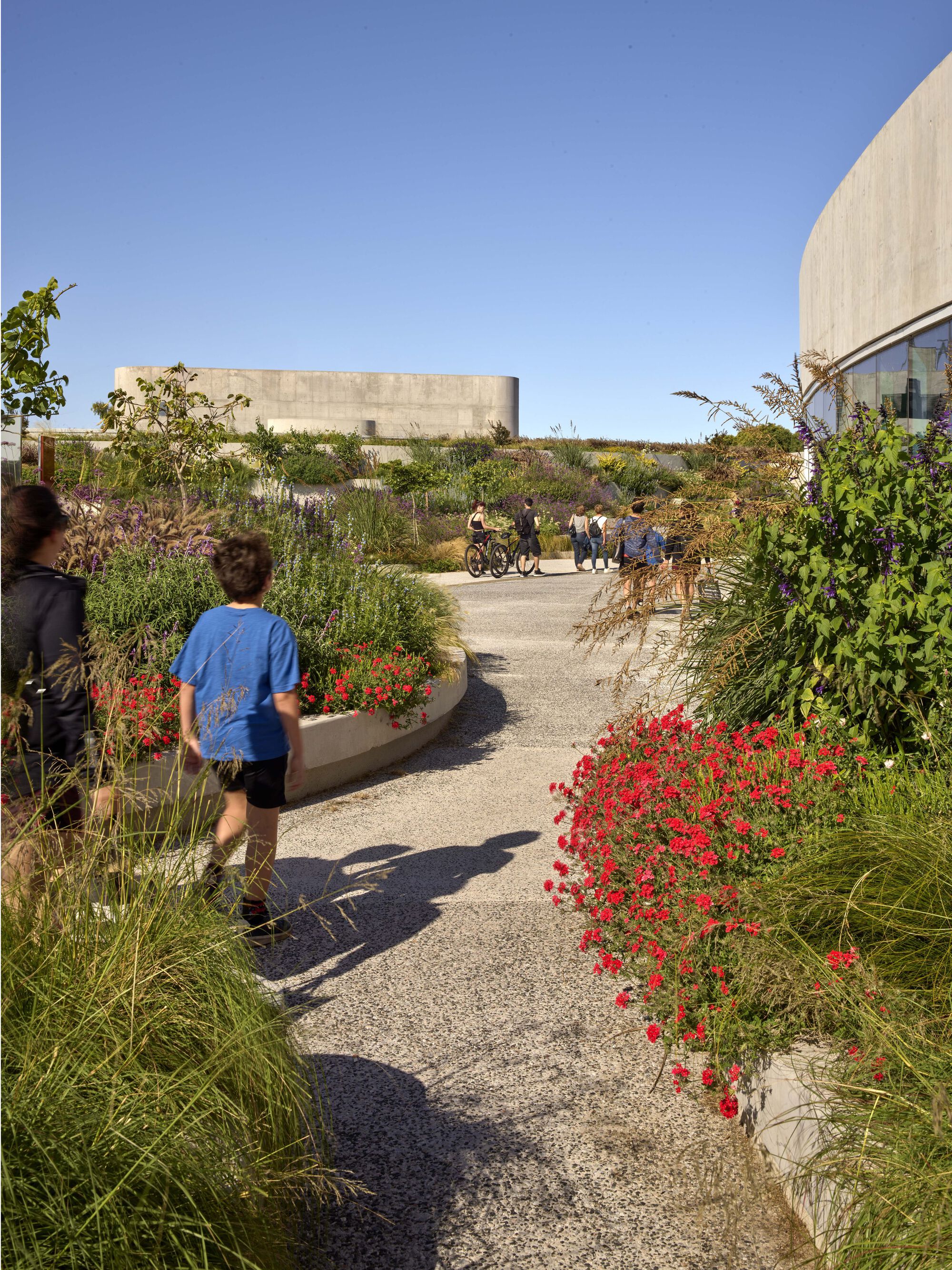 Gallery of OLA Palermo Mixed Use Project/ ODA - 13