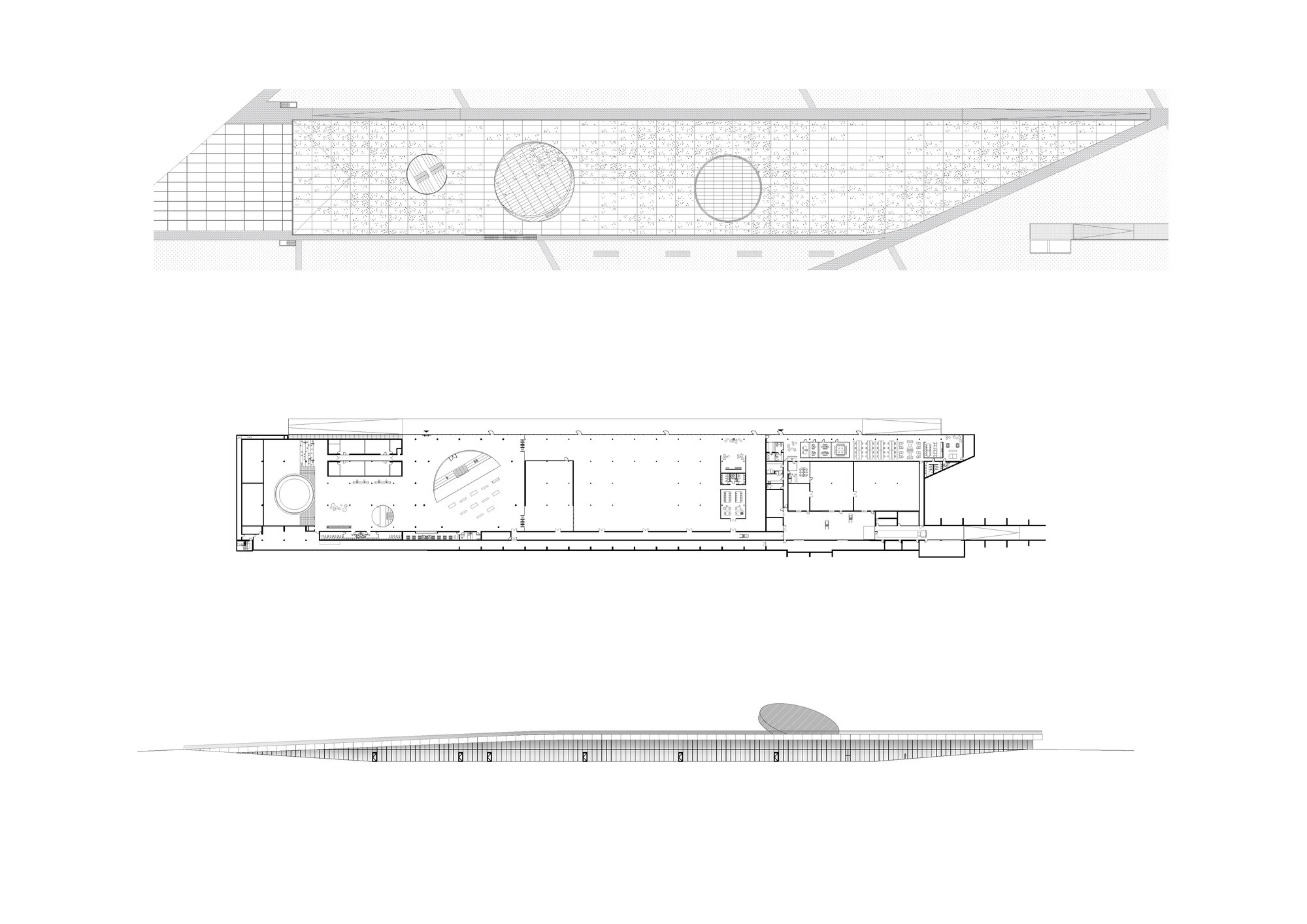 Gallery of Science Island Museum / SMAR Architecture Studio - 43