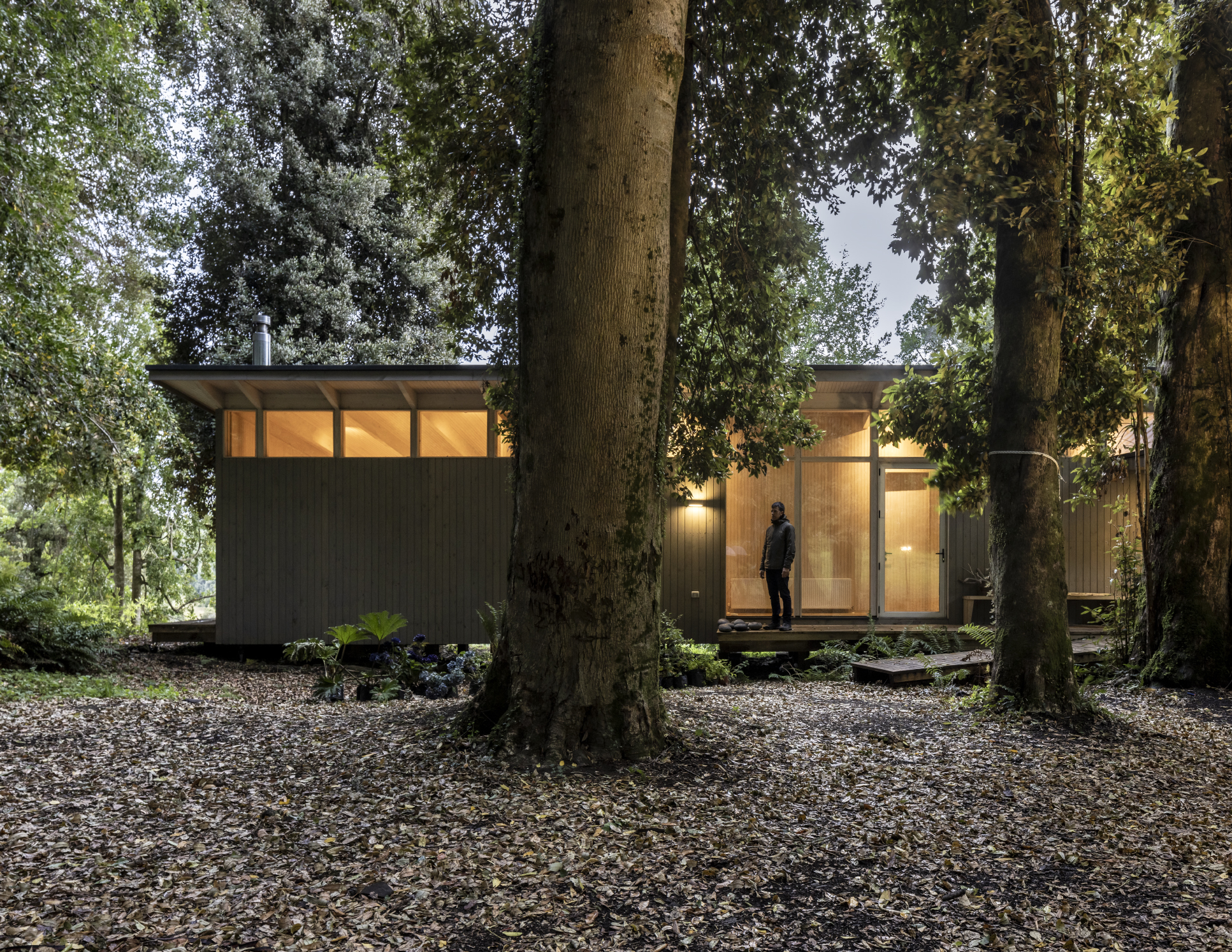 Gallery of House of the Glade / Ignacio Correa - 2