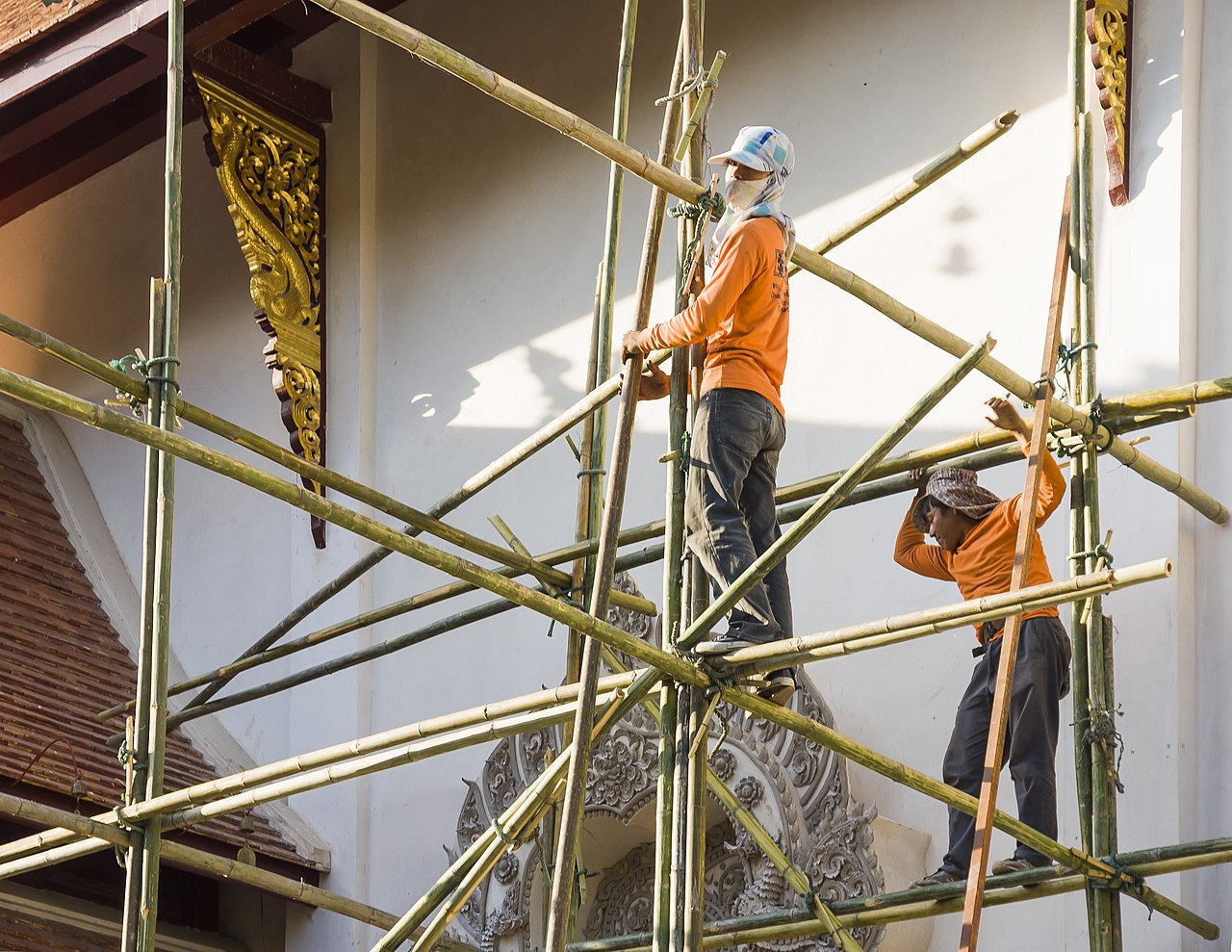 Gallery of From Common Sight to Cultural Symbol: The Rise and Decline ...