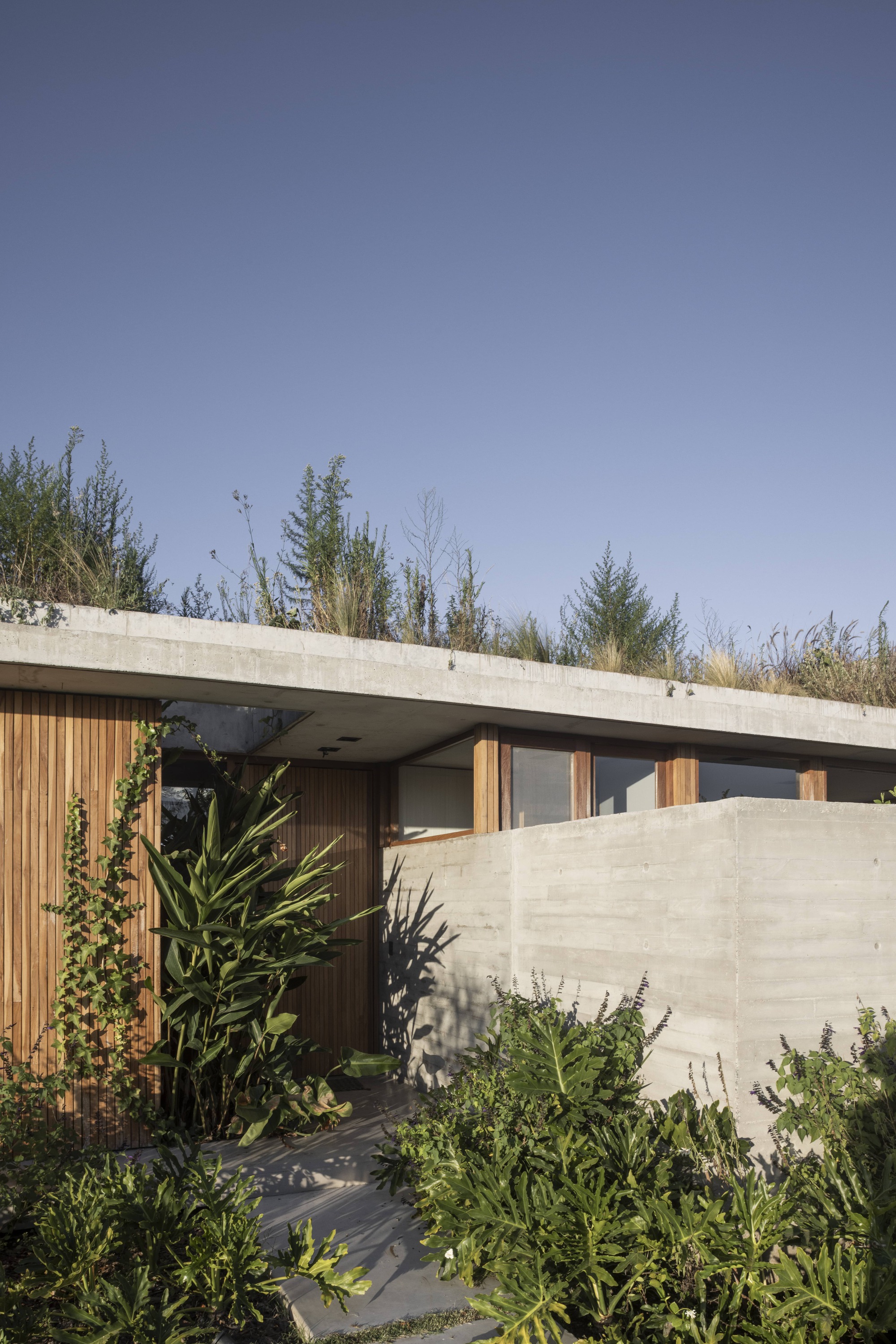 Galeria de Casa de Las Aves / Estudio Simbiosis - 15