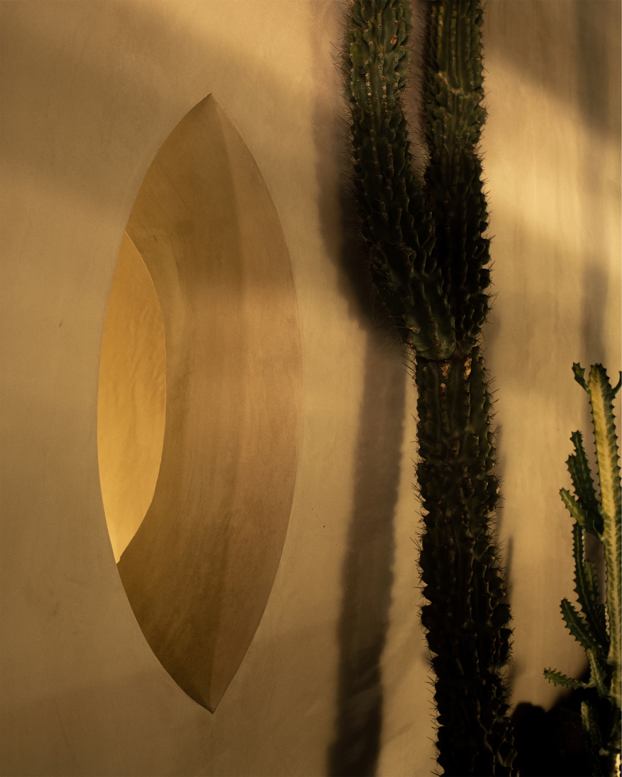 Gallery of Altar Casa Arca / TANAT - 21