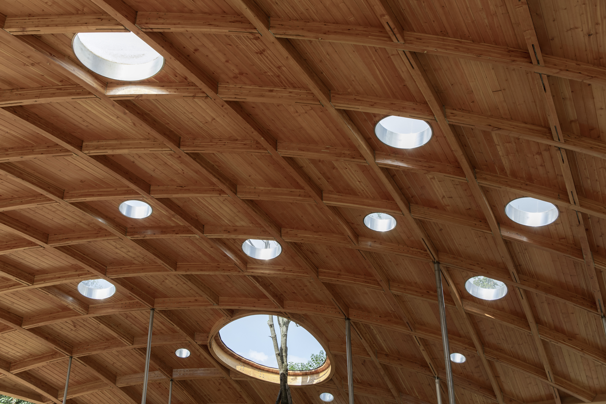 Gallery of Heilongtan Dome Music Hall / Studio Dali Architects - 8