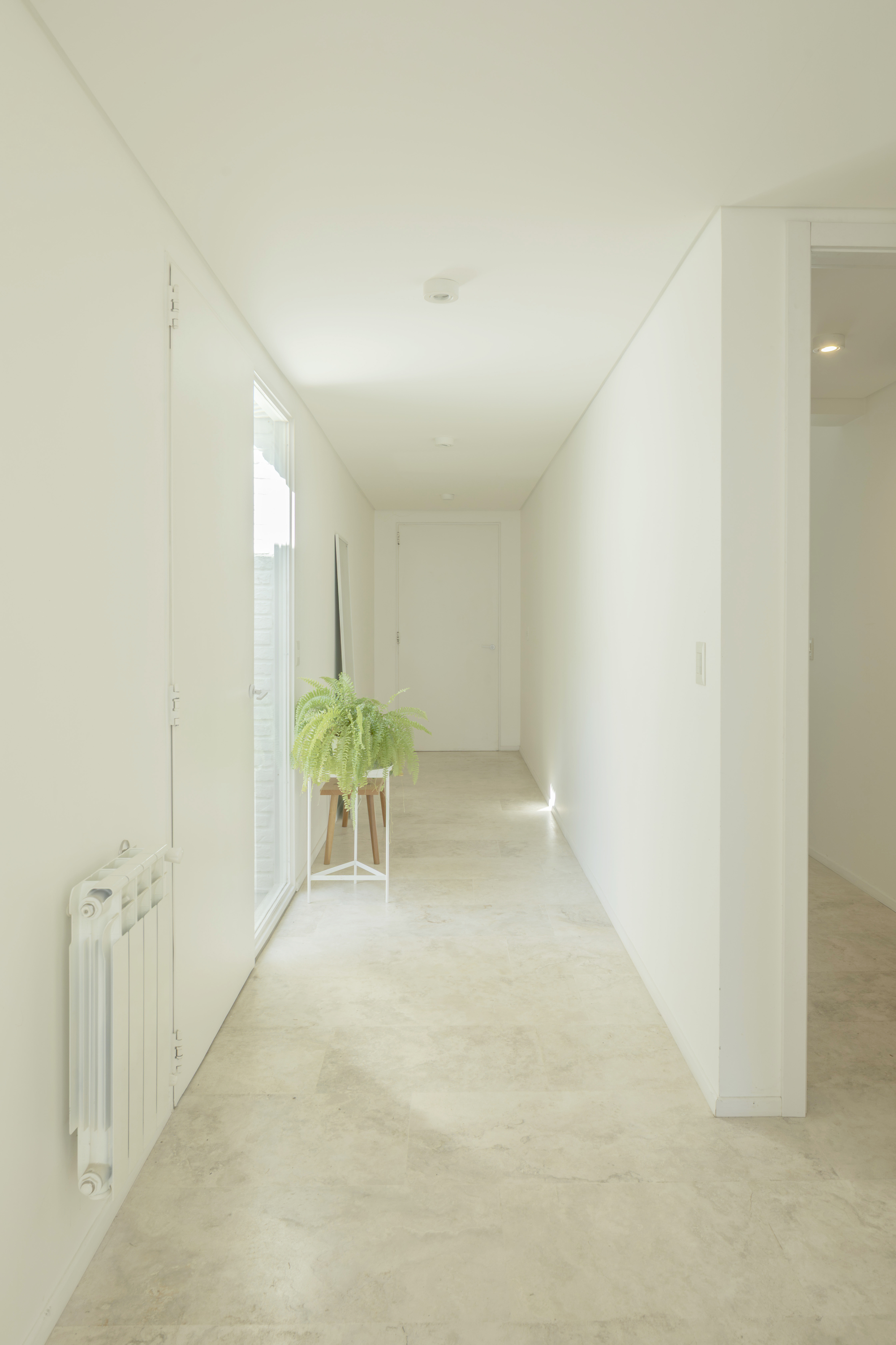 Galería de Casa Florida / Di Marco - Robles arquitectos - 10