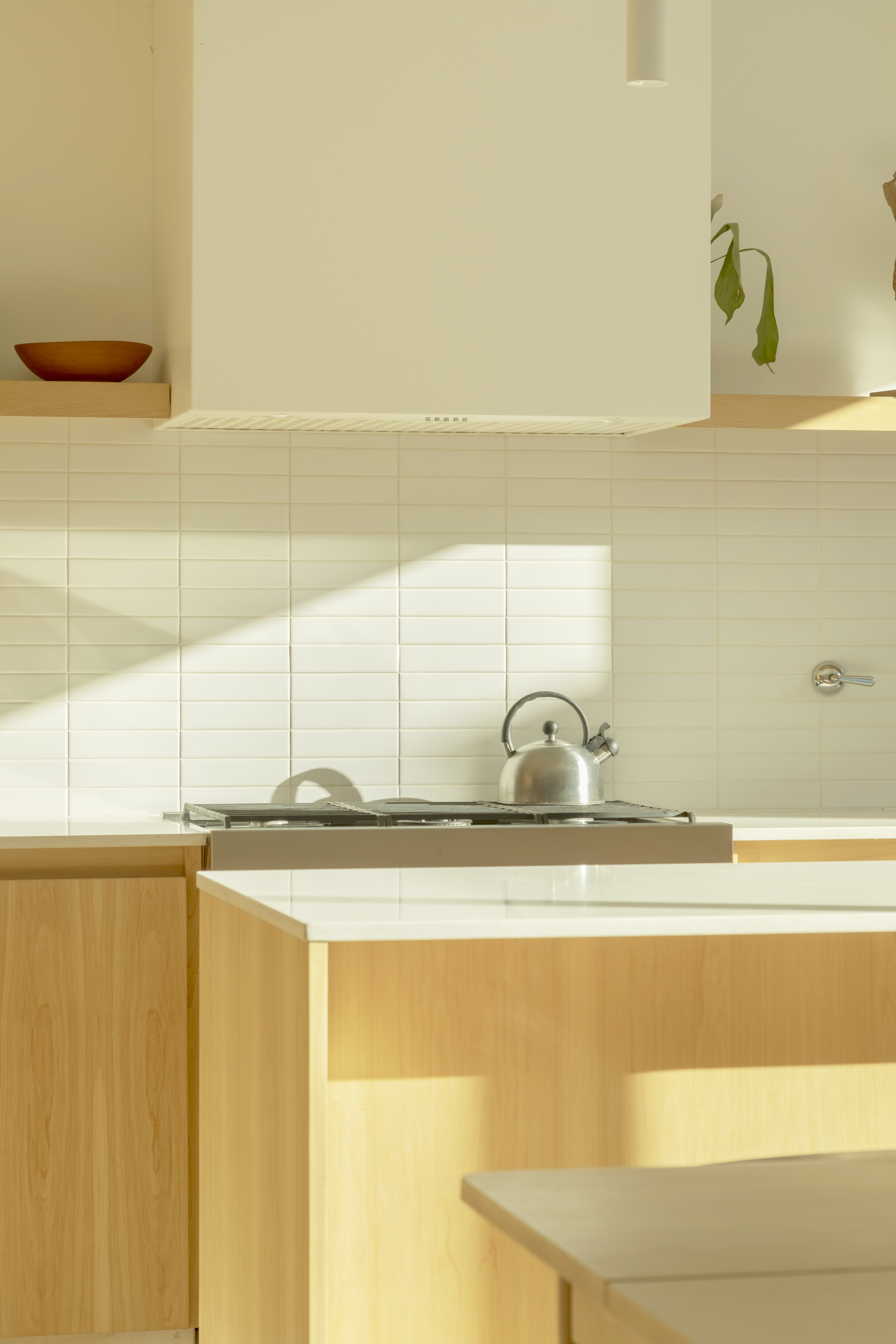 Galeria de Casa Florida / Di Marco + Robles Arquitectos - 22