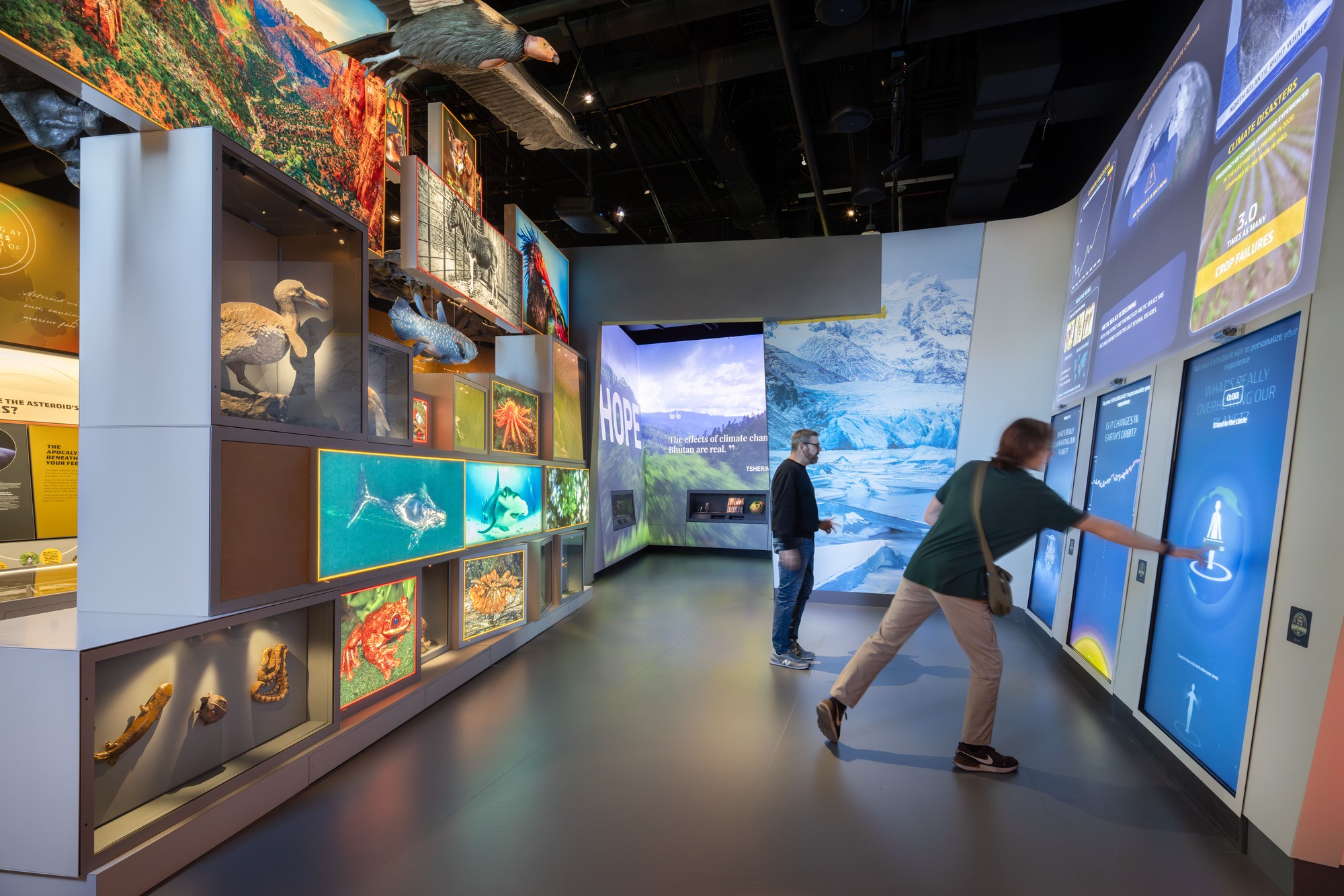 Gallery of Jean & Ric Edelman Fossil Park & Museum / Ennead Architects - 11