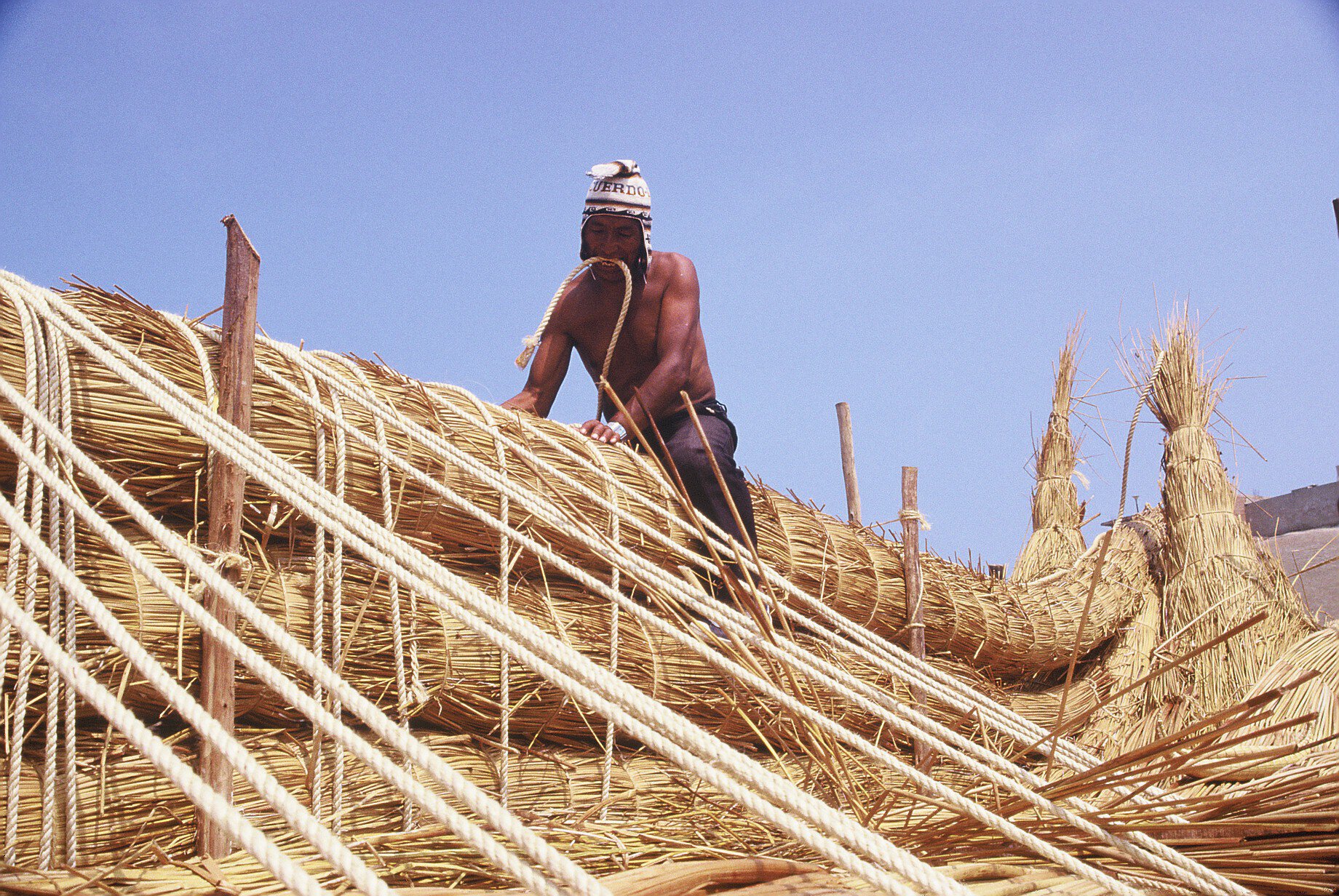 Gallery of Meet the Full List of the 65 National Pavilions at the 2025 ...