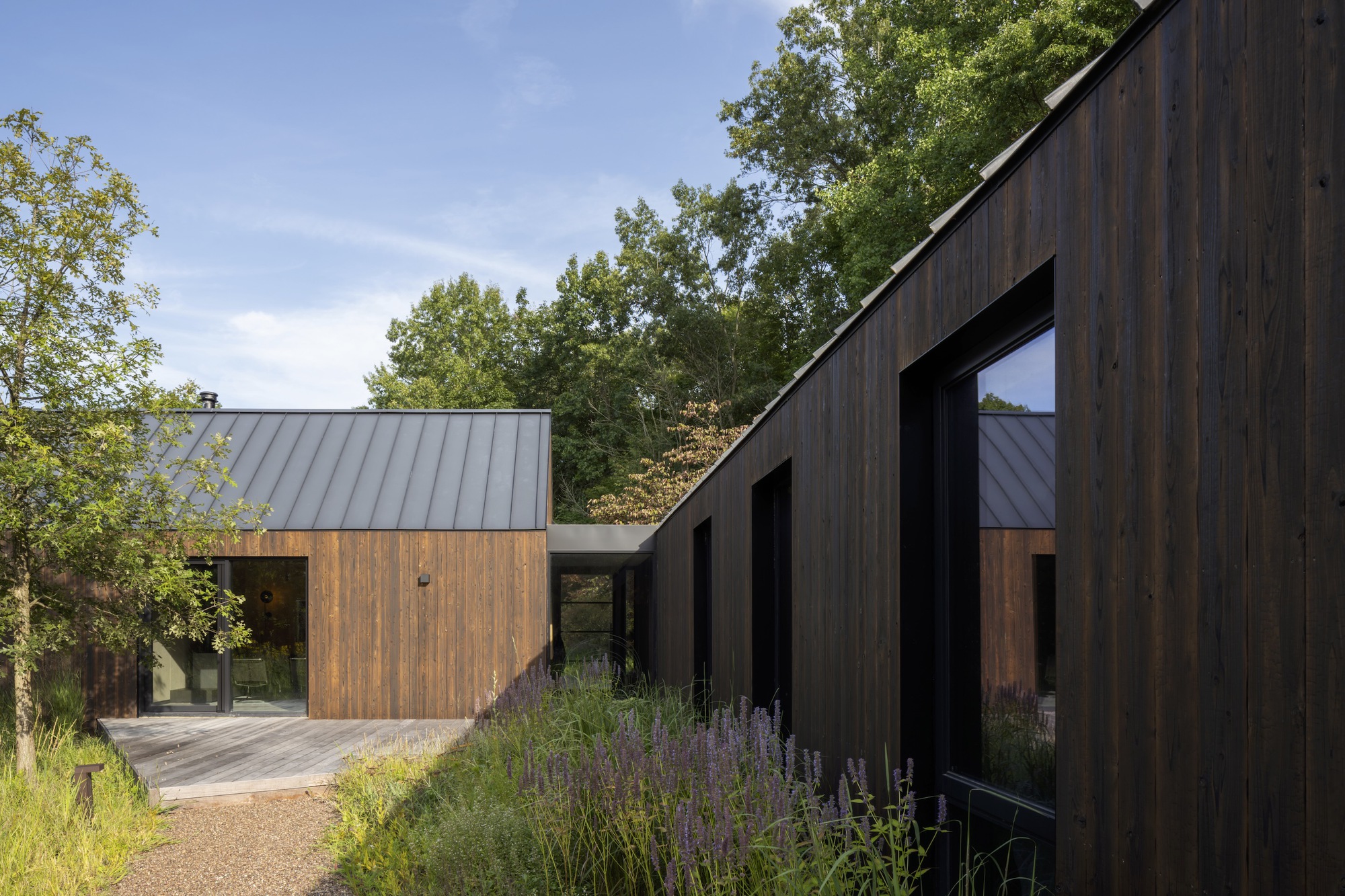 Gallery of Dutchmoor Valley Guesthouse / SEEK Design + Architecture - 11