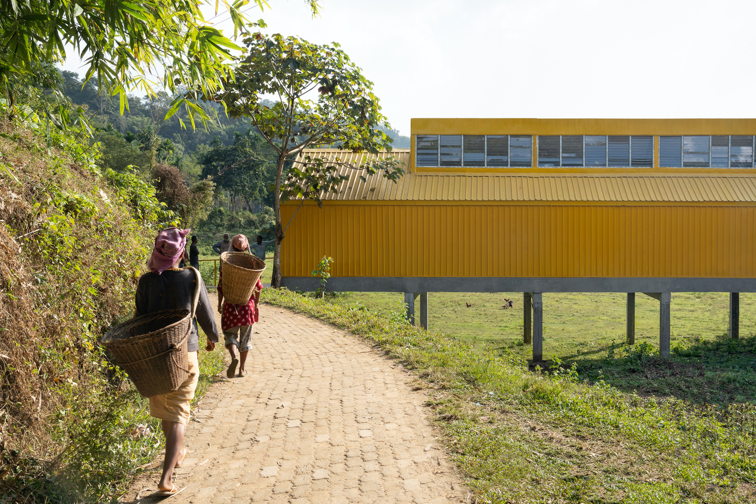 Gallery Of Inhabited Landscapes 20 Cultural And Community Centers In Rural Areas 2