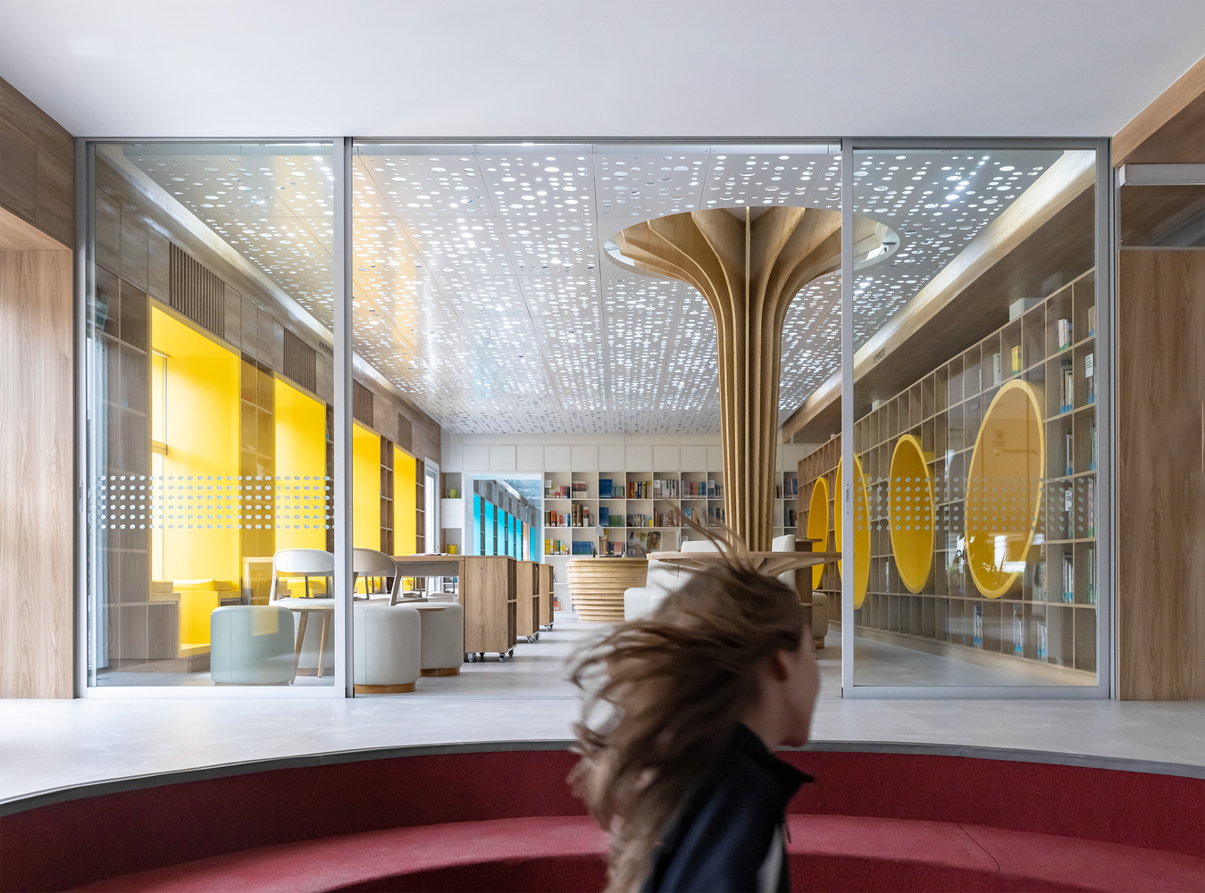 Galeria de Biblioteca Colegial Antonio Raimondi / TERRITORIAL - 5