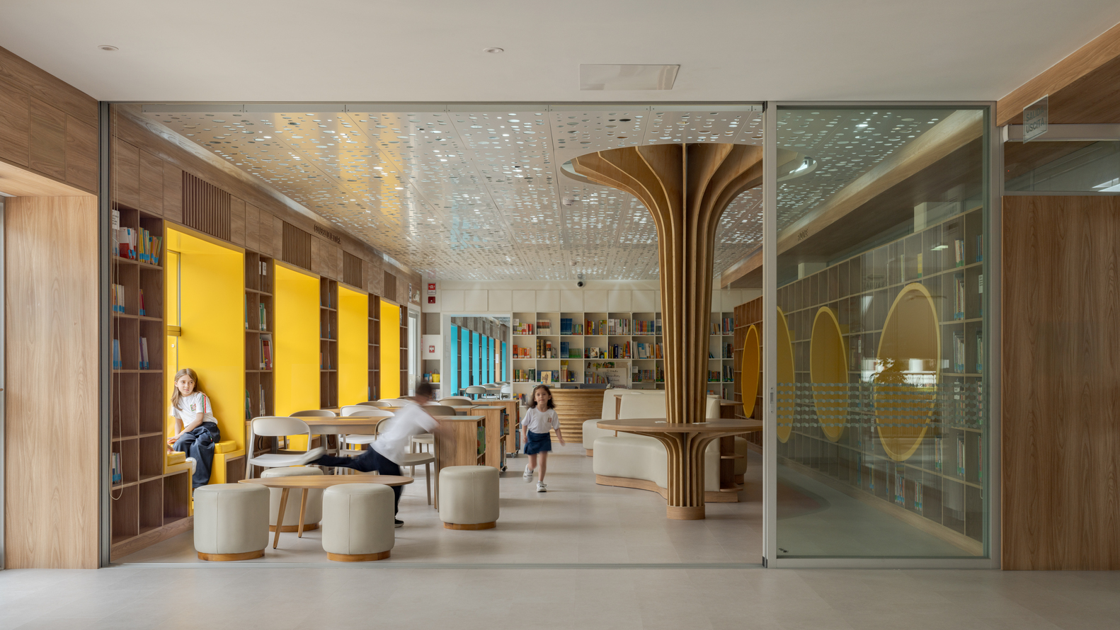 Galeria de Biblioteca Colegial Antonio Raimondi / TERRITORIAL - 1