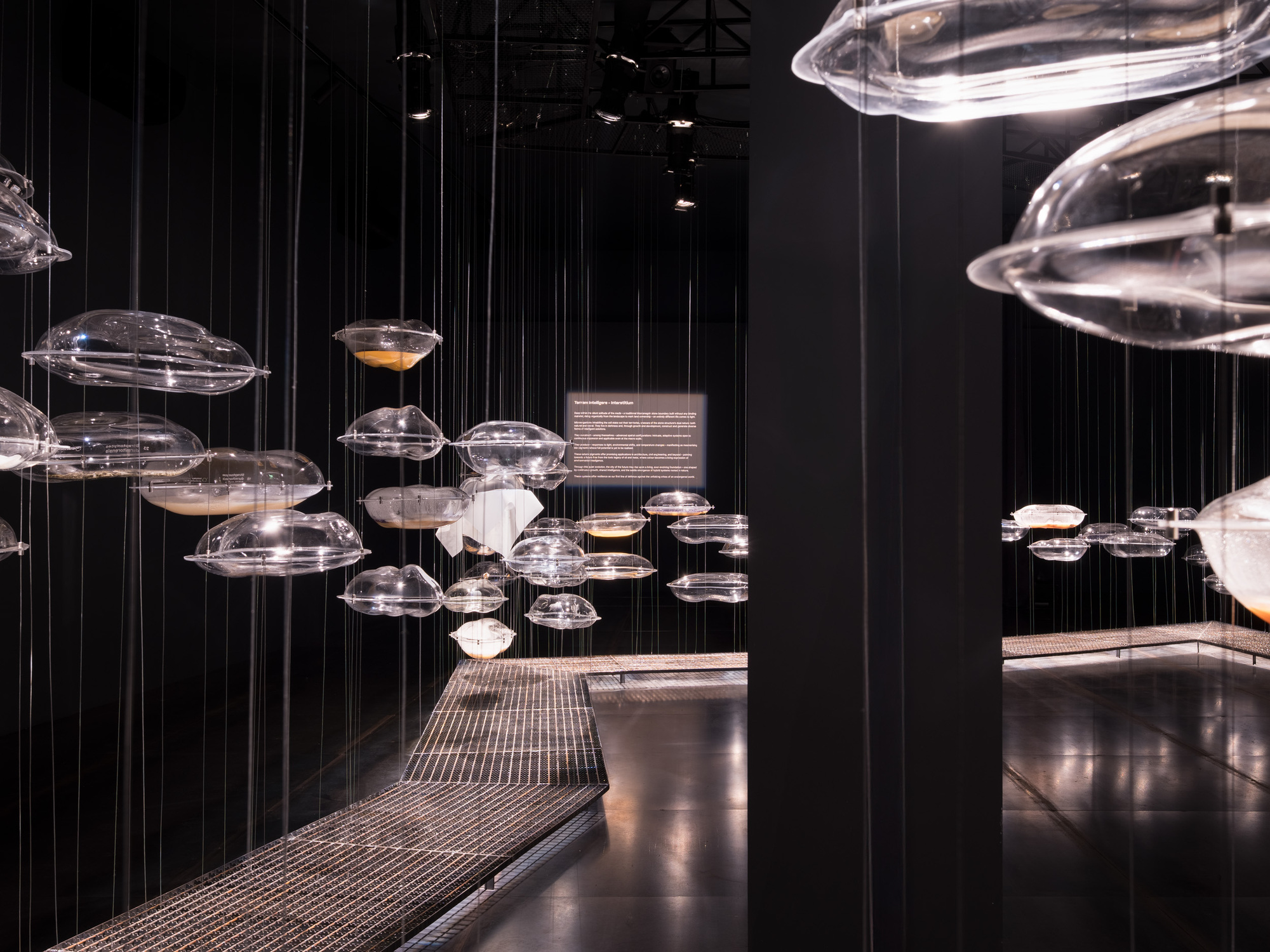 Gallery of When a Pavilion Becomes a Living Laboratory - 3