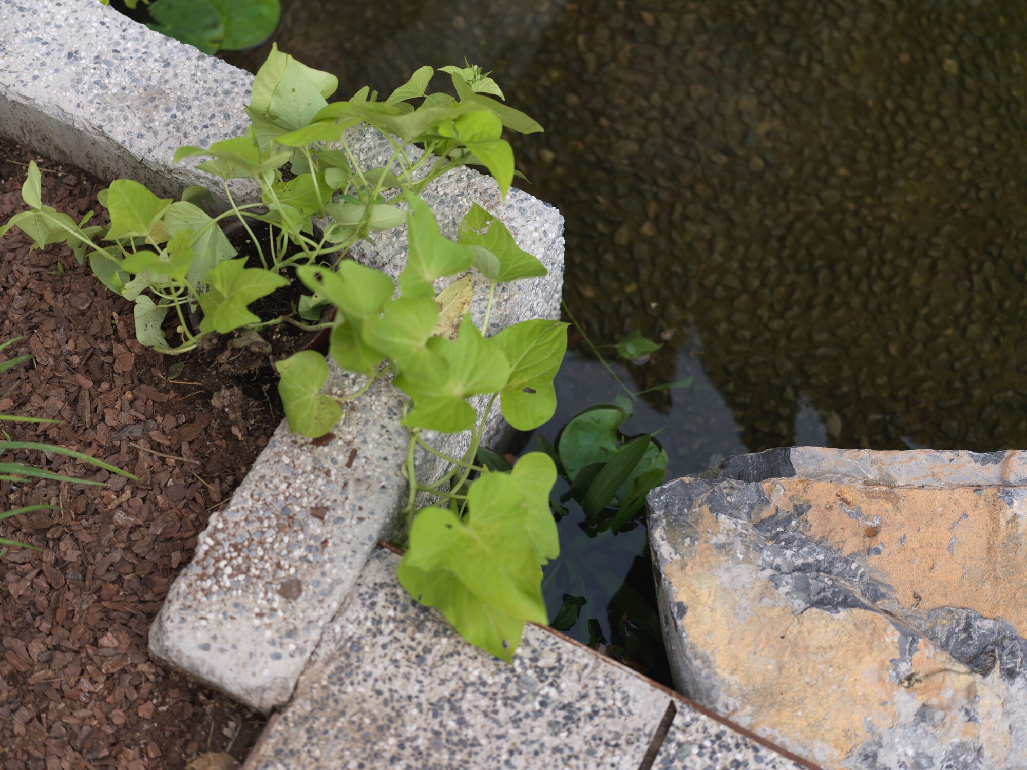 Gallery of The Wind H Art Center (Phase II&Phase III) / Jin Qiuye ...