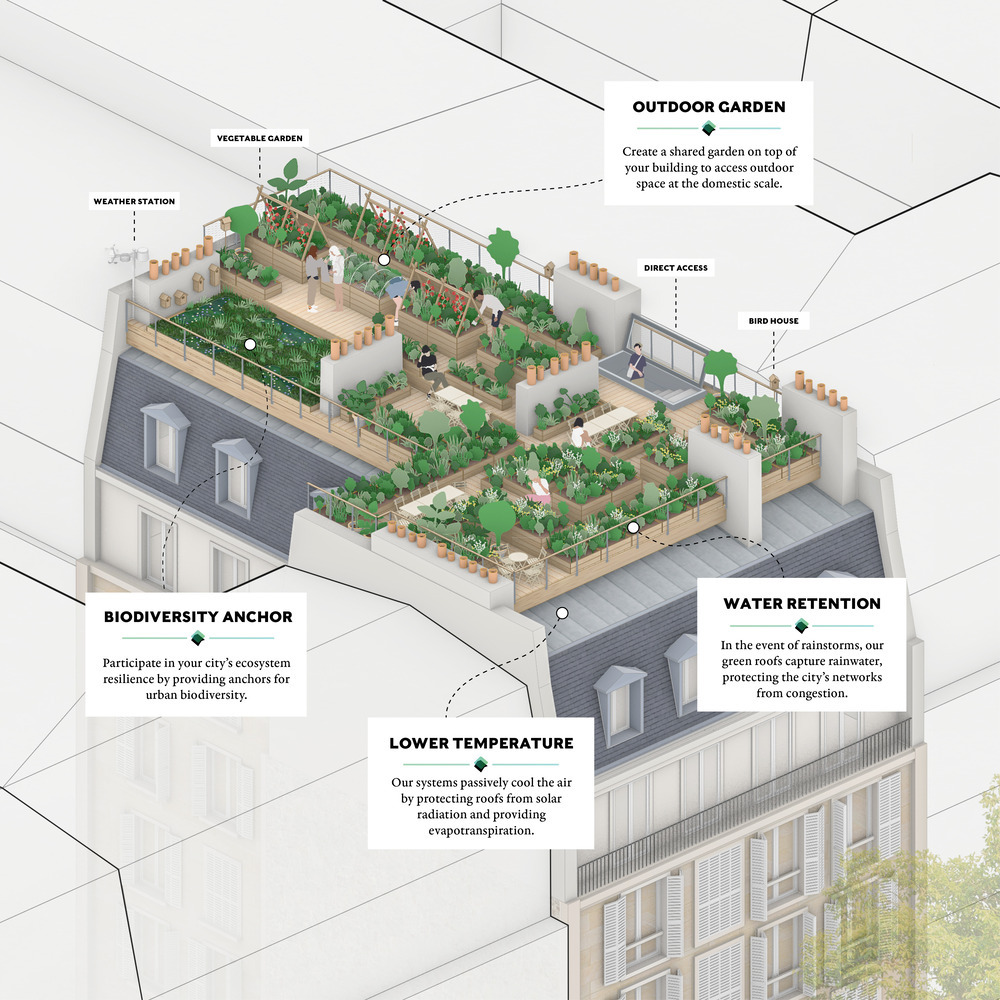 Gallery of From Root to Roof: In Venice, ArchDaily Highlights ...