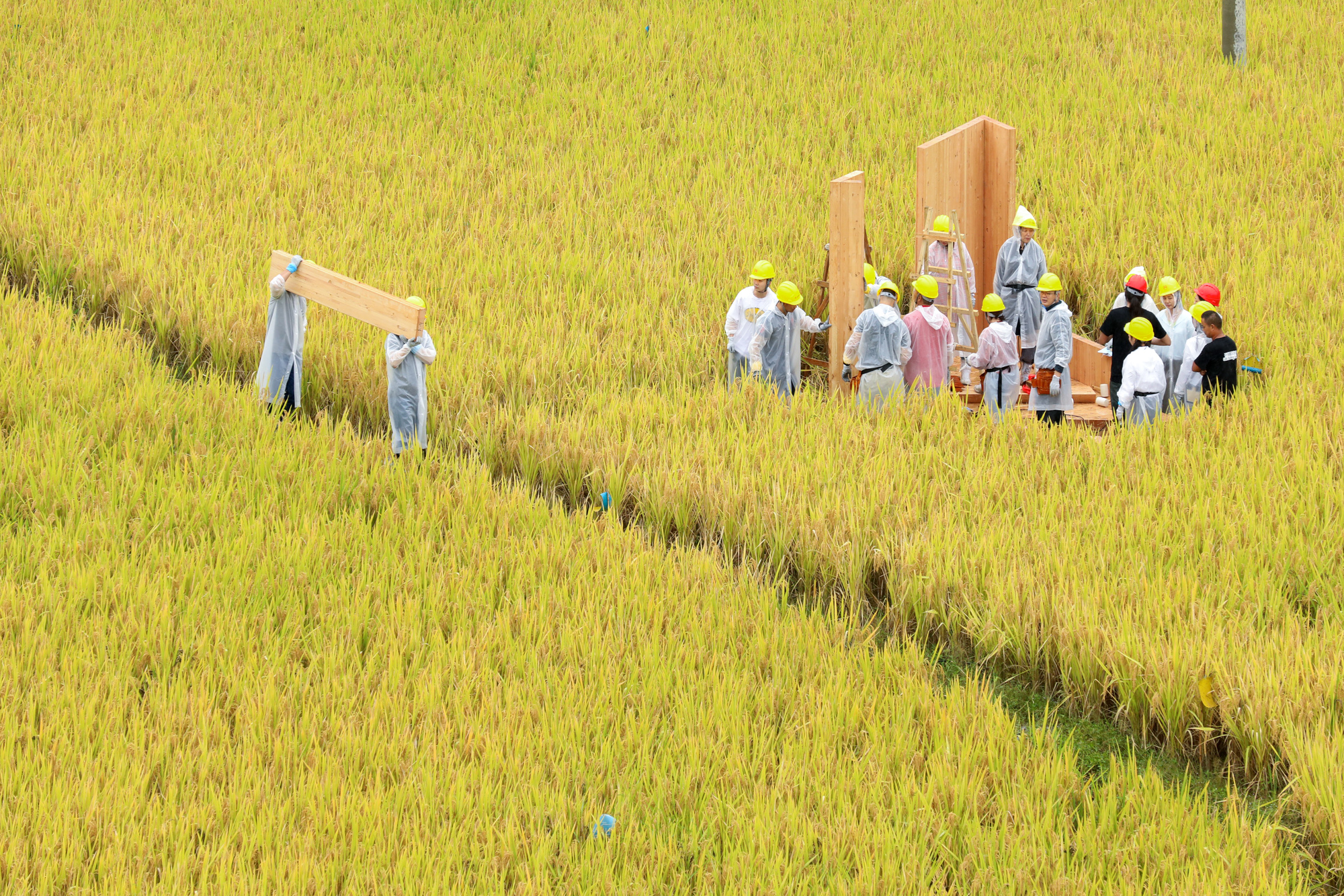 Gallery of From Root to Roof: In Venice, ArchDaily Highlights Restorative Emerging Practices - 19