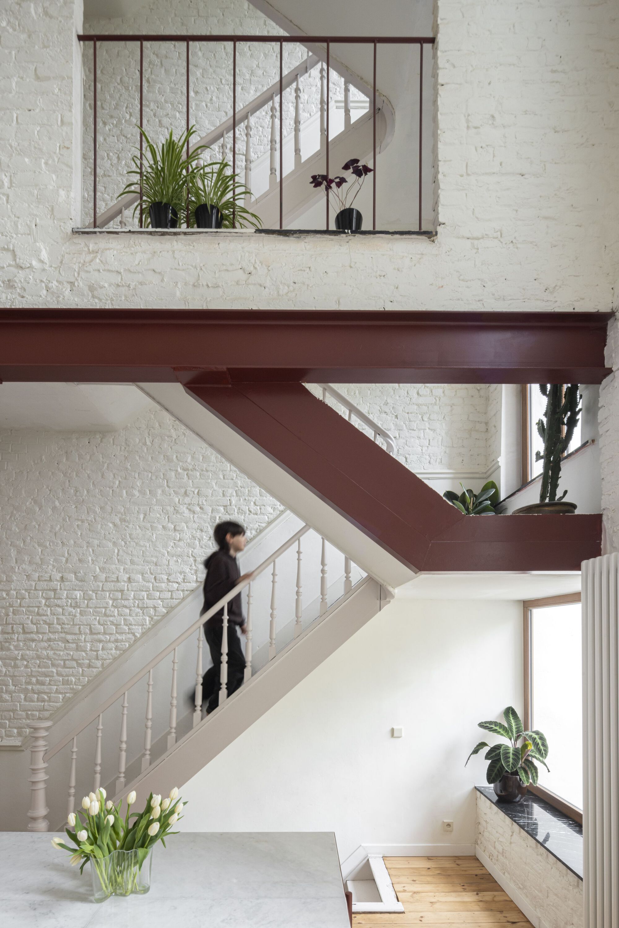 Gallery of Georges House / hé! architectuur - 3