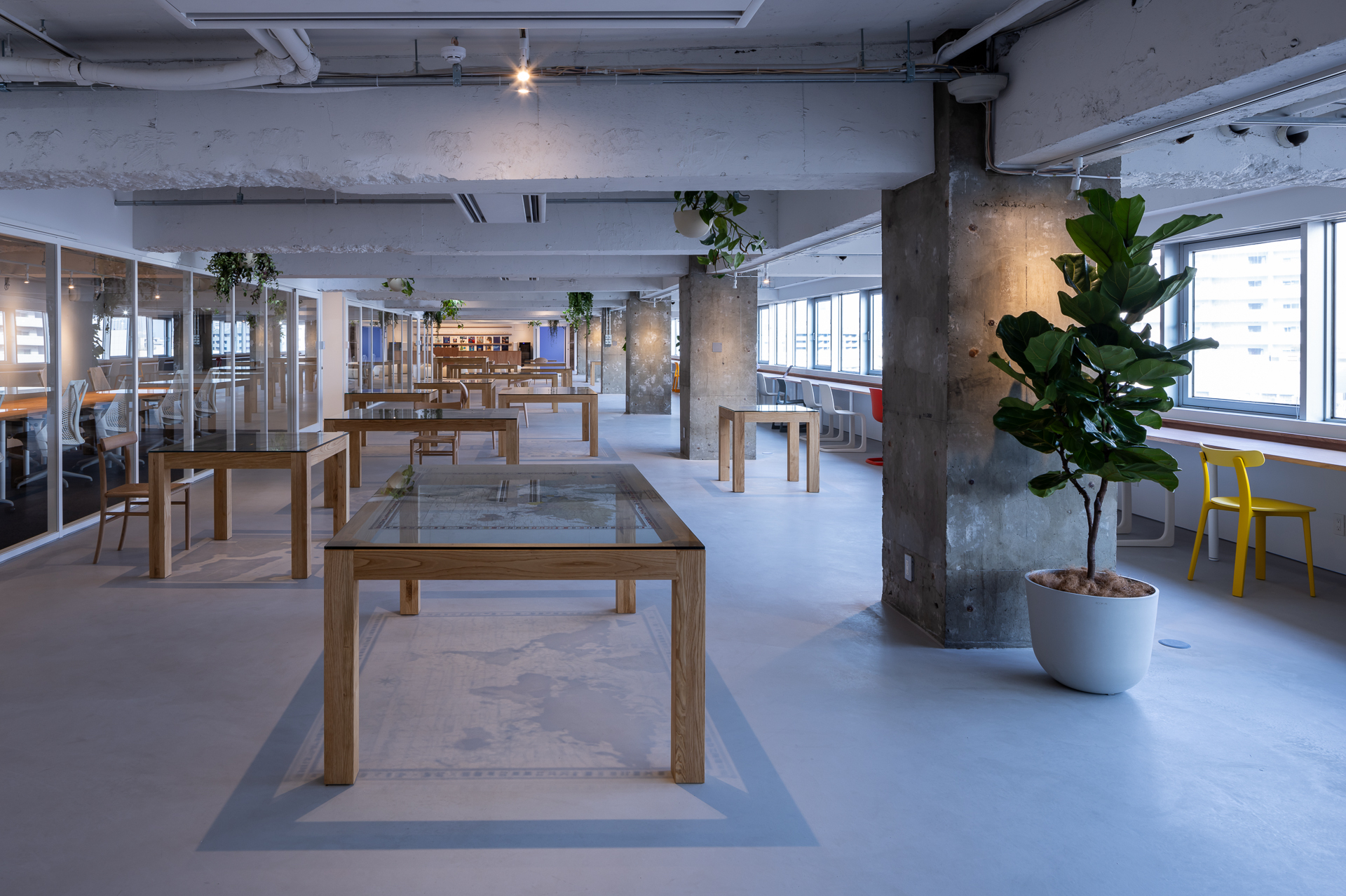 Gallery of Earth Centric Design Lab / Takeshi Hosaka Architects - 4