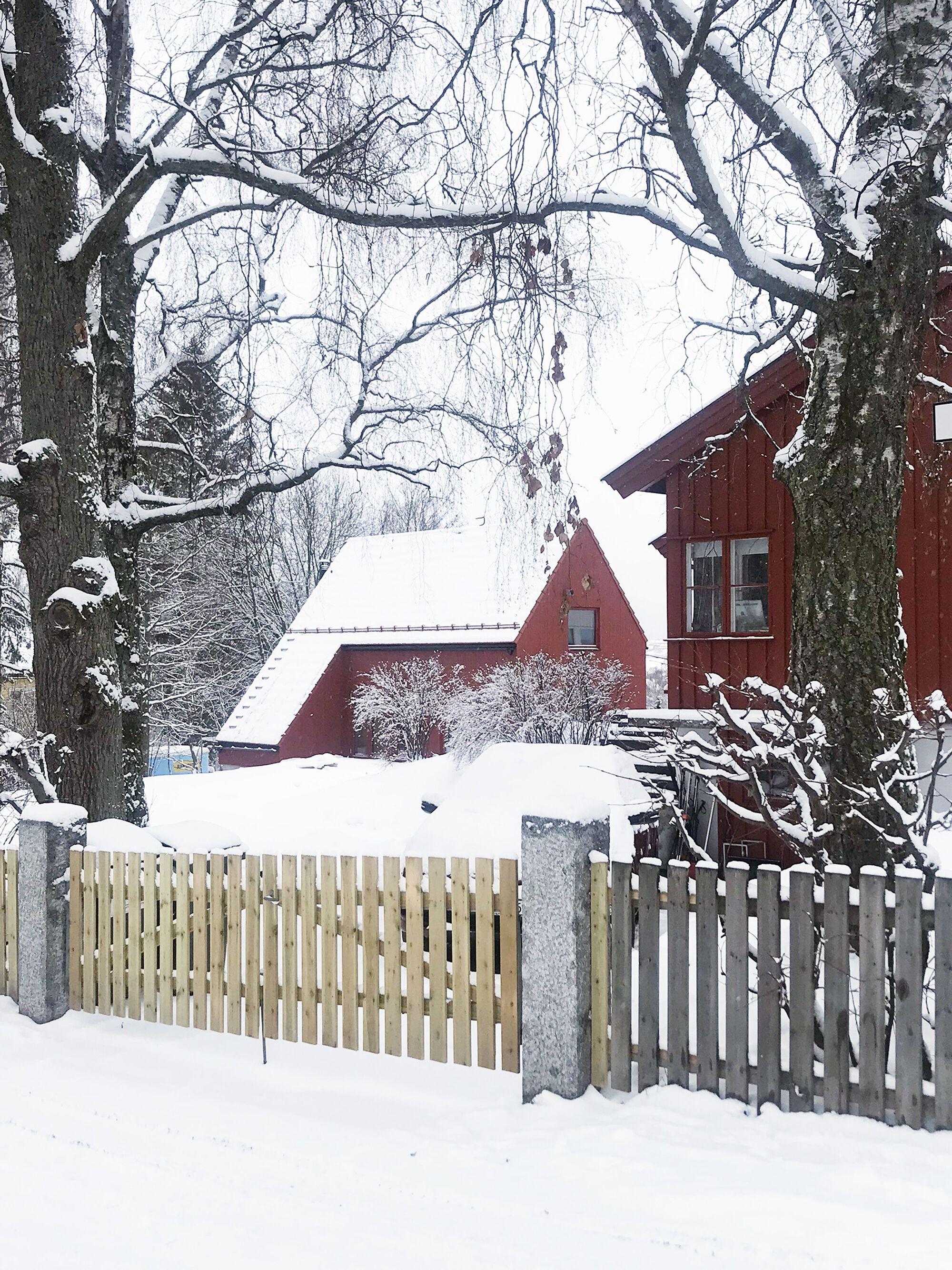 Gallery of The Red House / MORFEUS arkitekter - 25