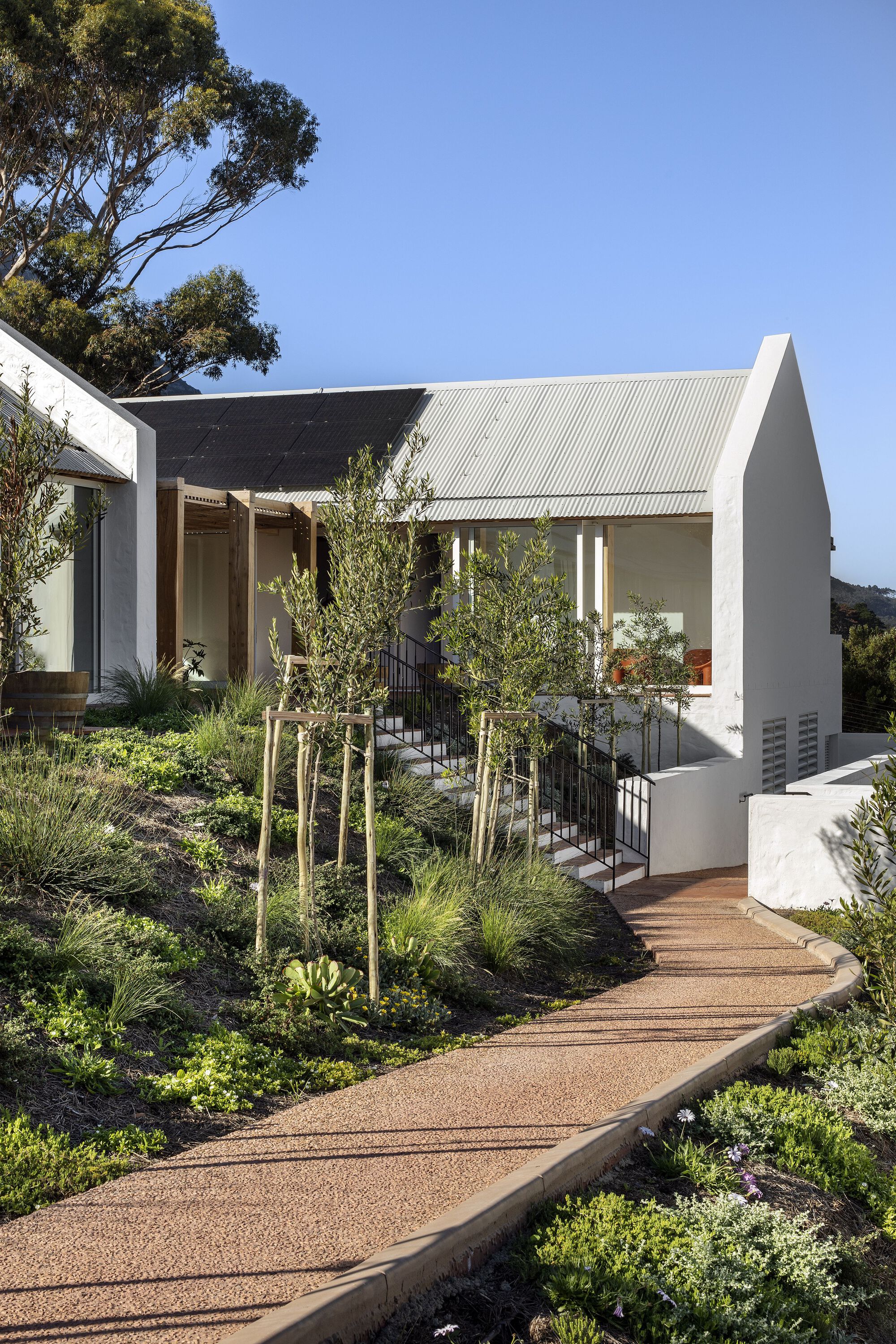 Gallery of Umoya Boutique Hotel / SkreinStudios - 2