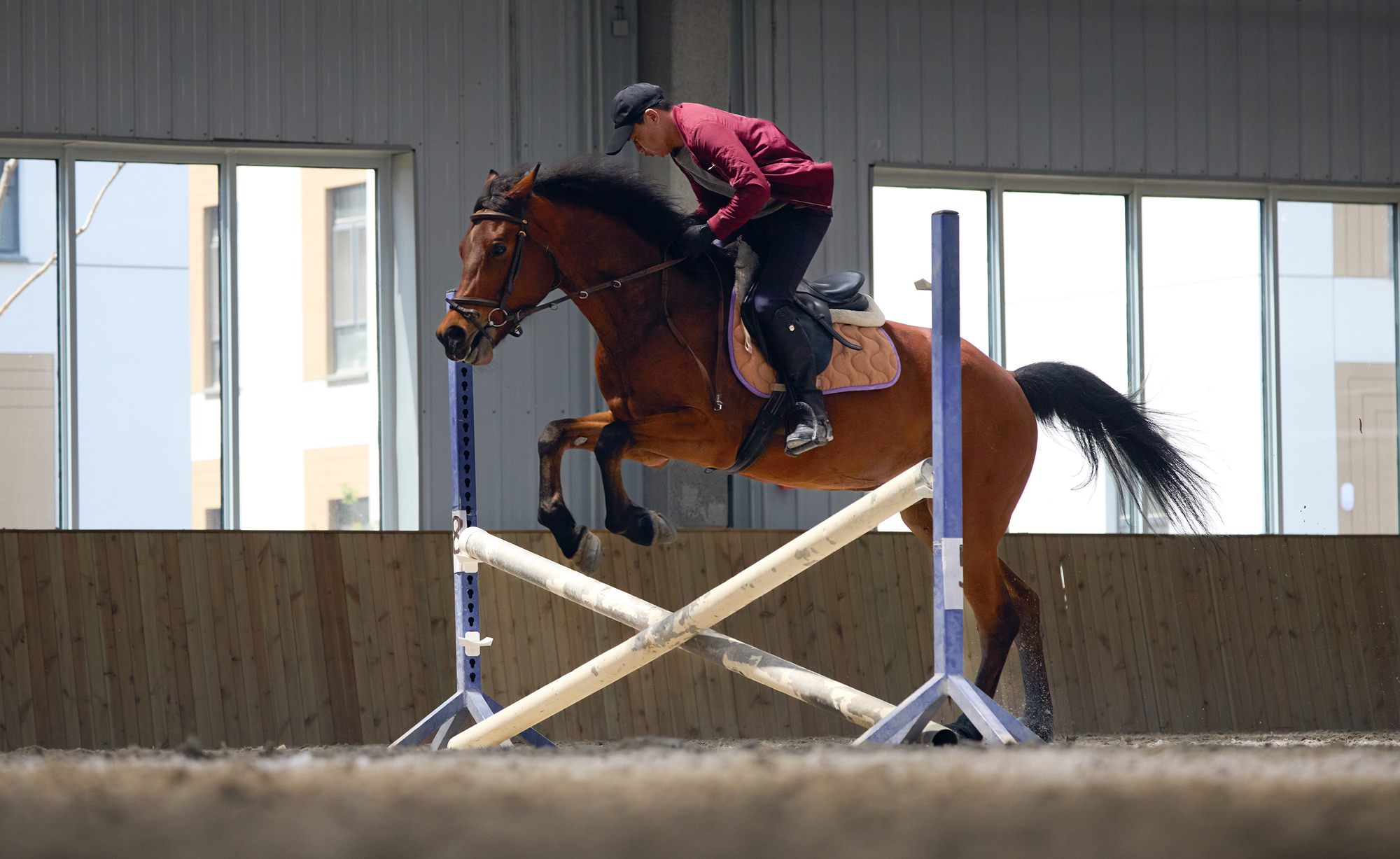 Gallery of Yue & Yue: Art Museum + Equestrian Hall / CU Office - 13
