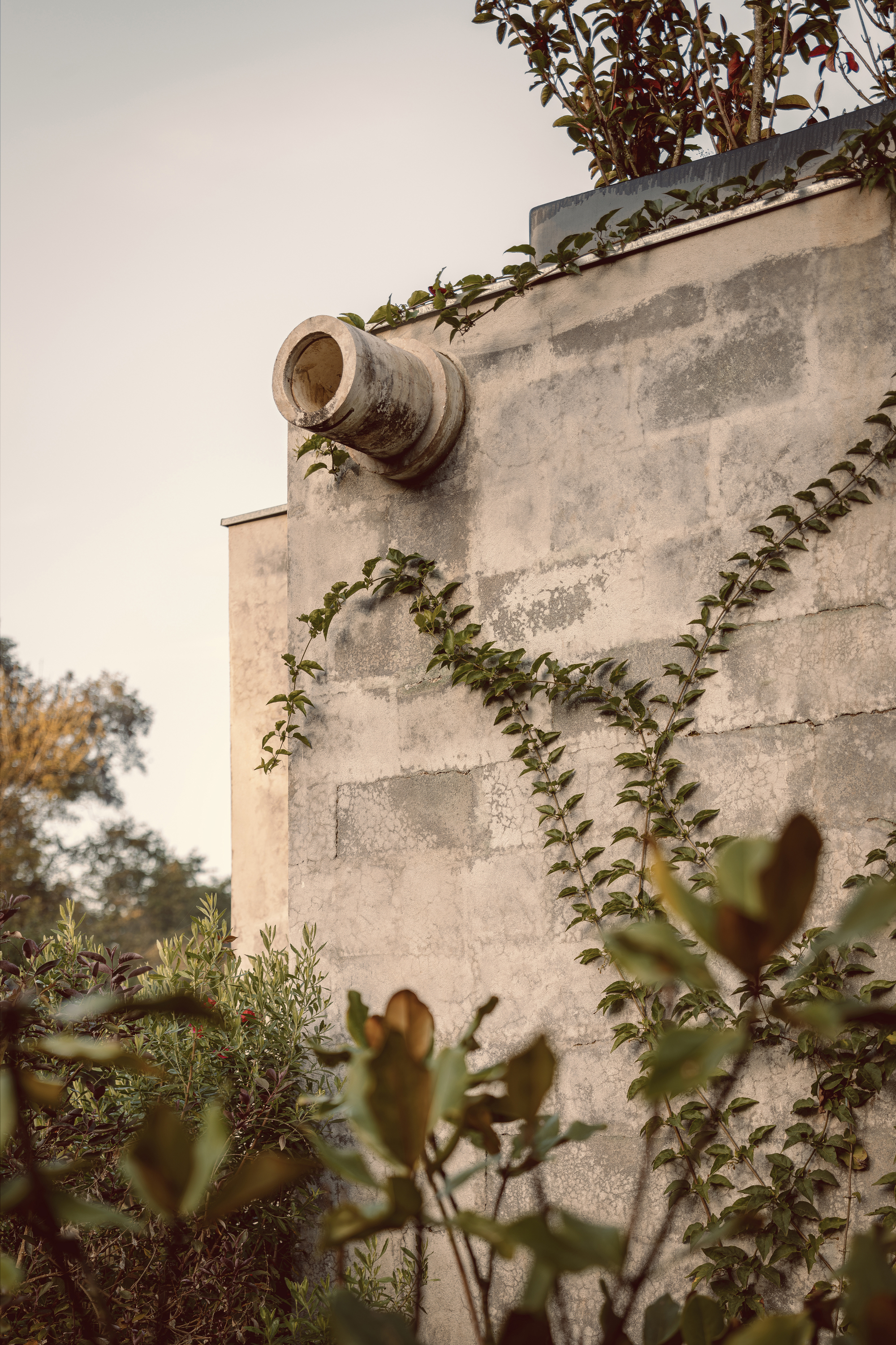 Gallery of House Between Two Rivers / Taller 3000 - 15