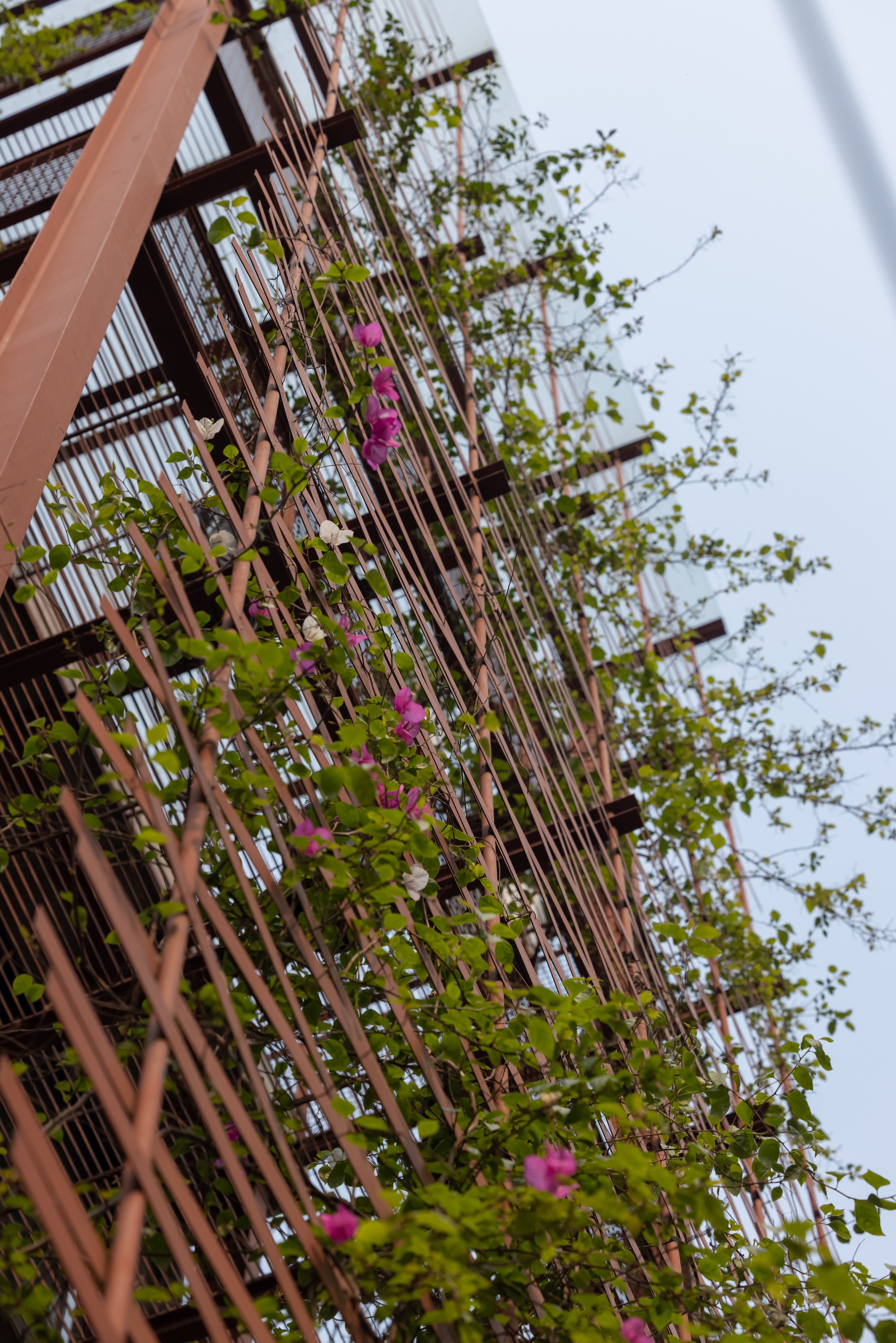 Gallery of MK House / Atelier 12 - 28