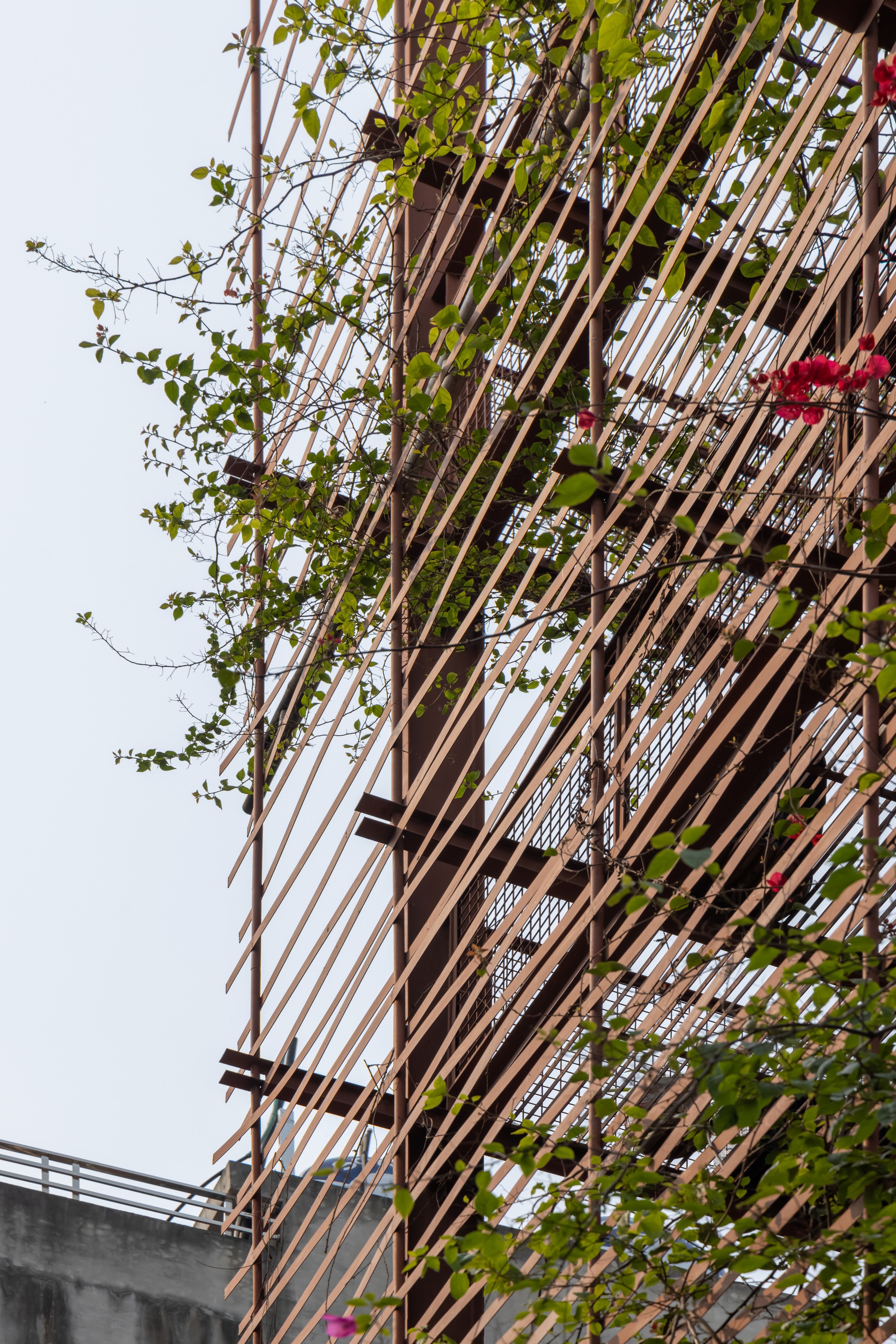 Gallery of MK House / Atelier 12 - 27