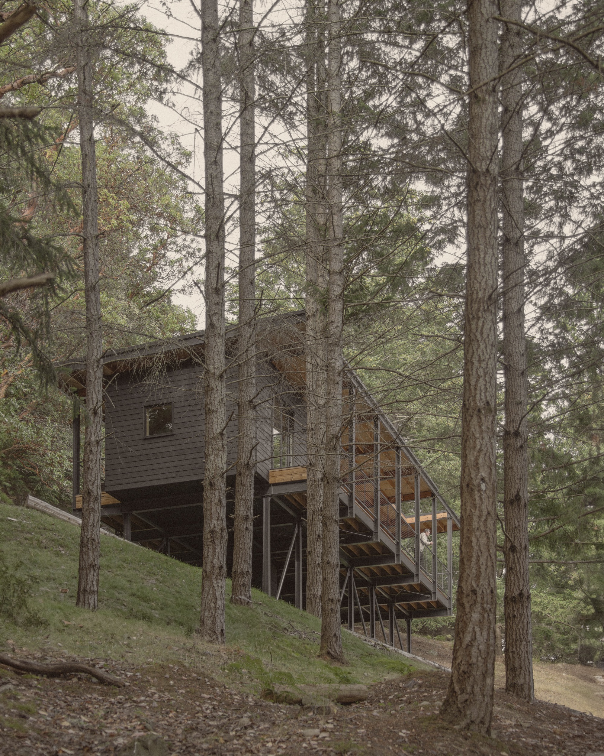 Gallery of Trestle Cabin / Miller Hull Partnership - 7