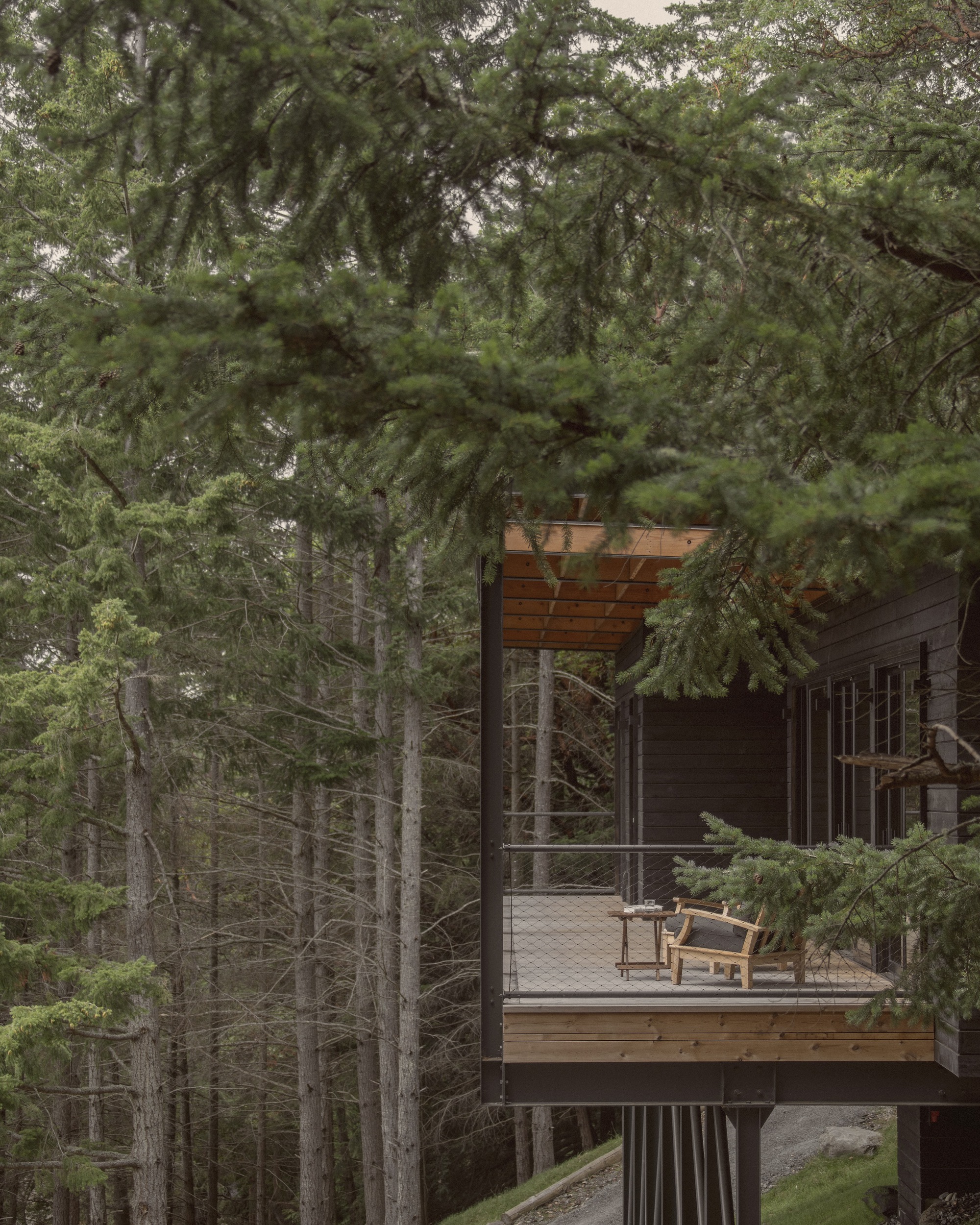 Gallery of Trestle Cabin / Miller Hull Partnership - 14