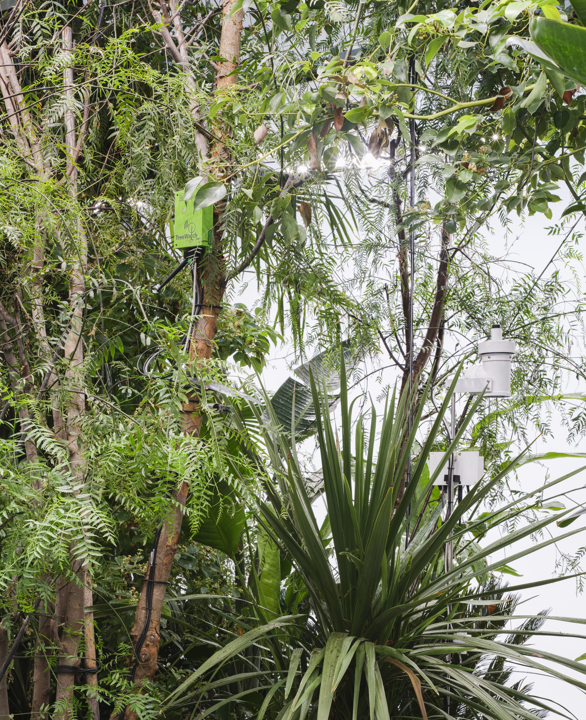 Gallery of The Belgian Pavilion Explores Plant-Based Architecture at ...