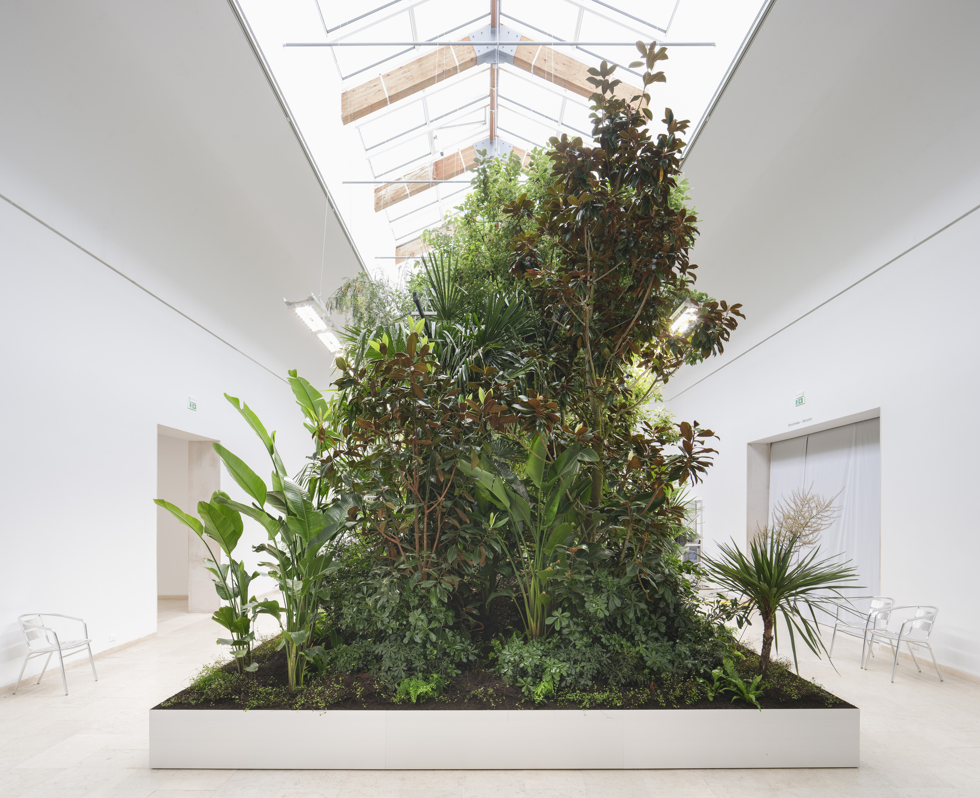 The Belgian Pavilion Explores Plant-Based Architecture at the Venice ...