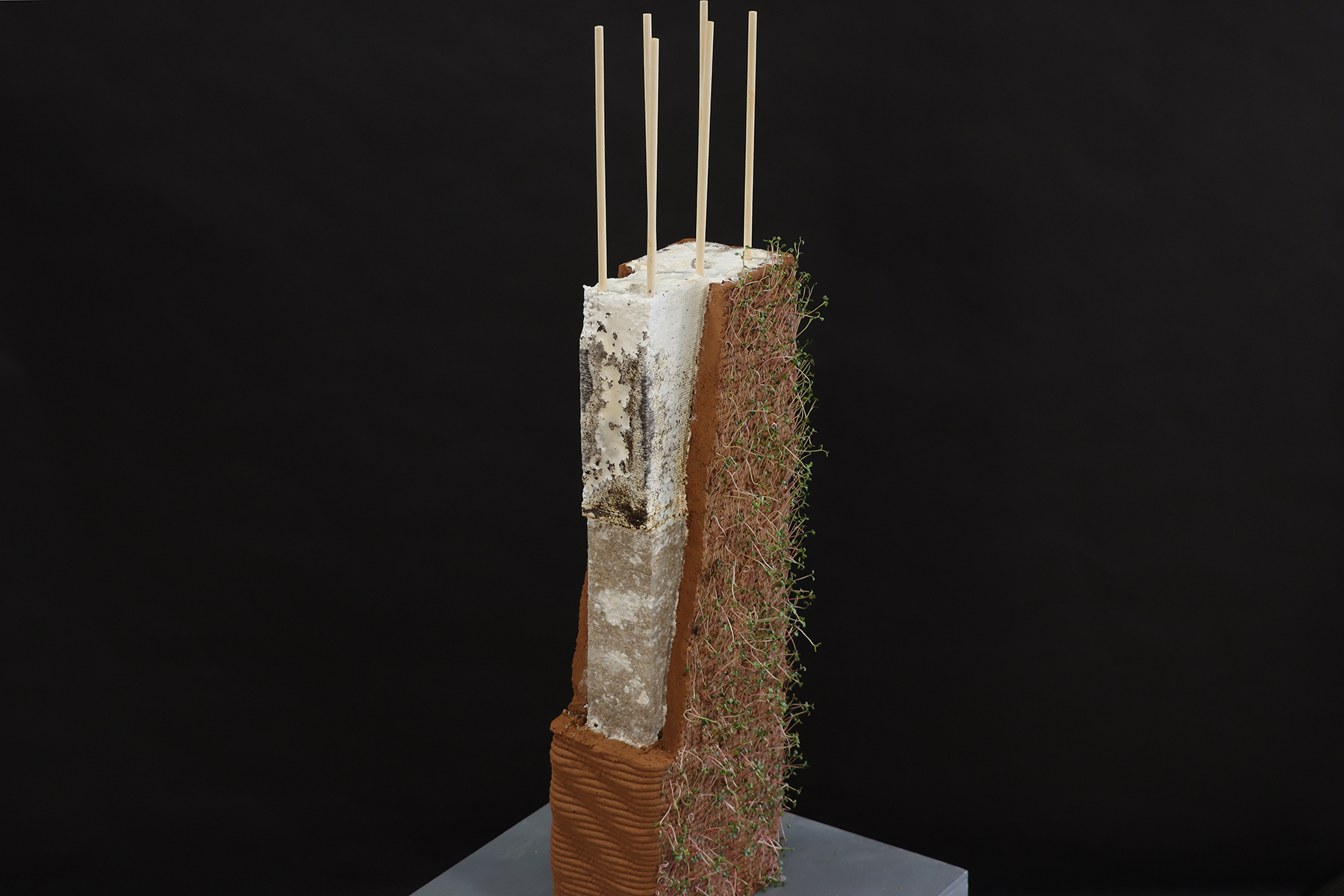 Gallery of Exploring Living Building Materials Through Robotic Earth ...