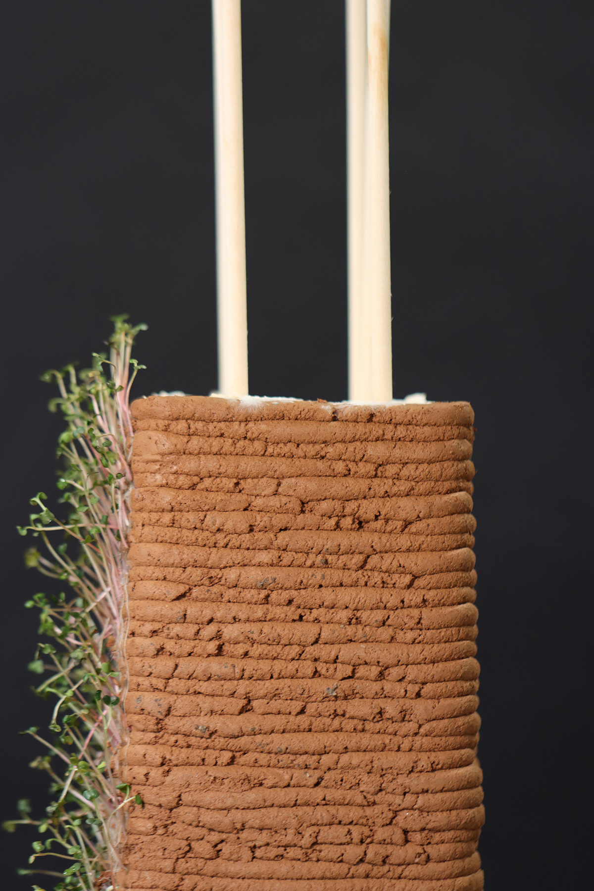 Gallery of Exploring Living Building Materials Through Robotic Earth ...