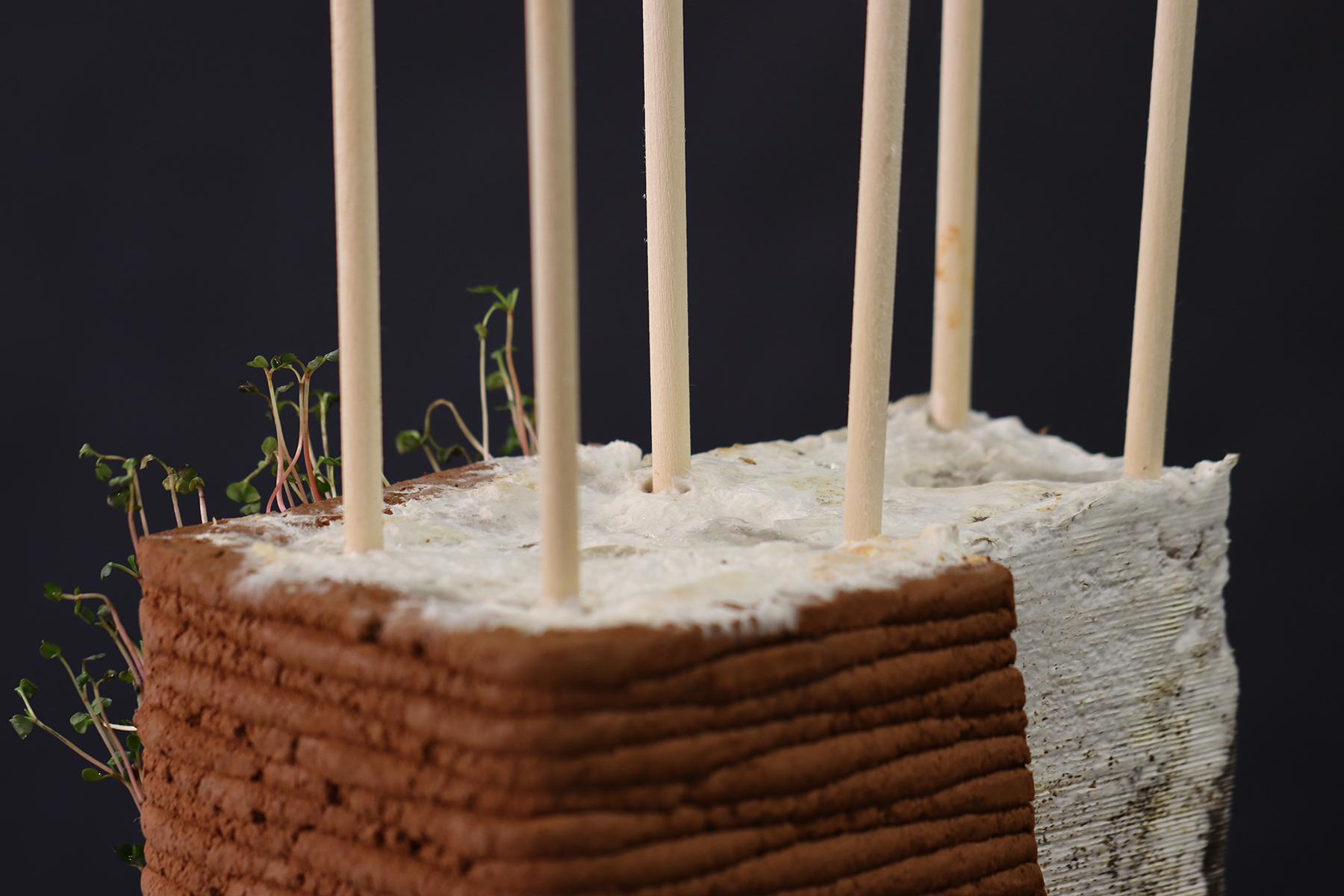 Gallery of Exploring Living Building Materials Through Robotic Earth ...
