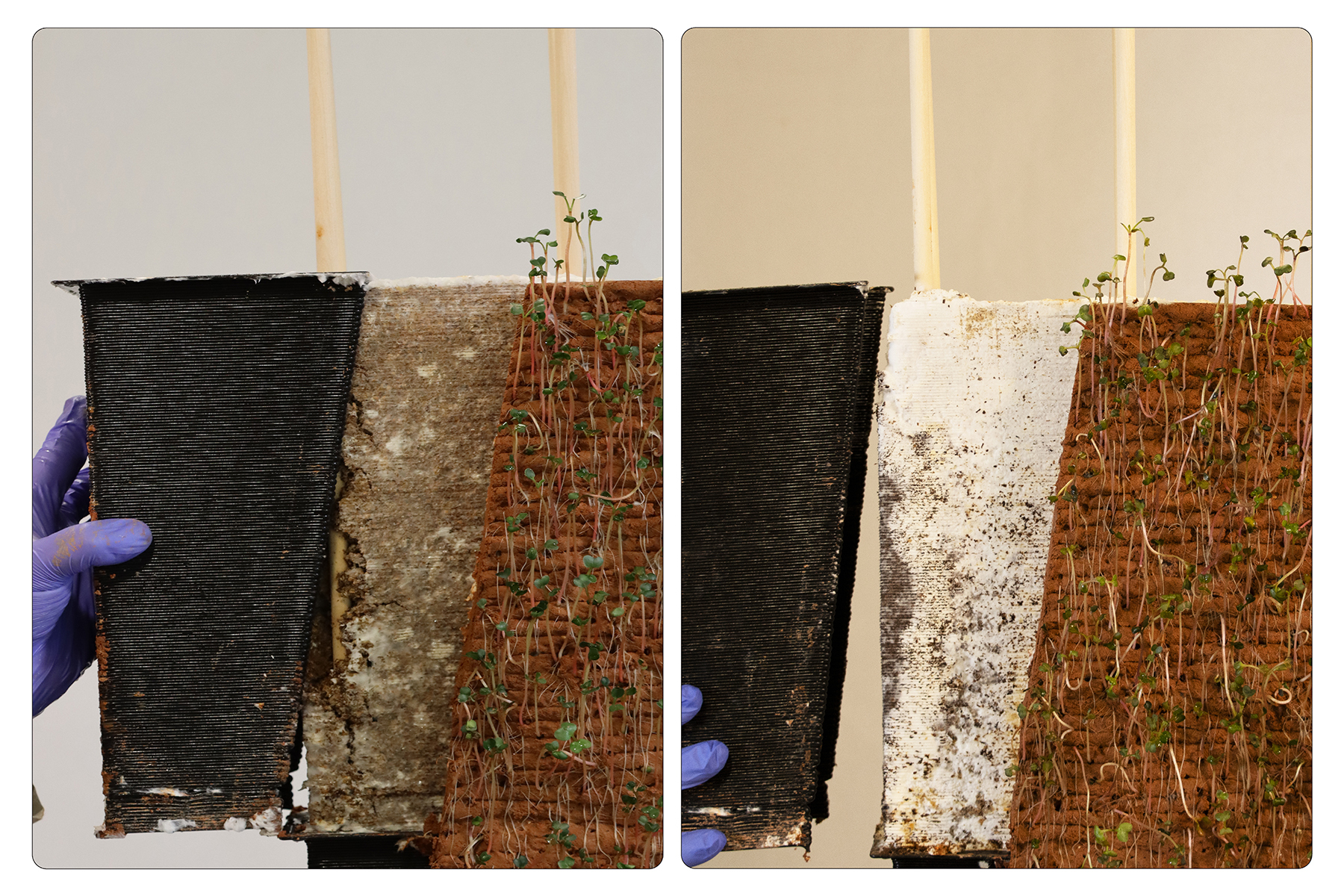 Gallery of Exploring Living Building Materials Through Robotic Earth ...