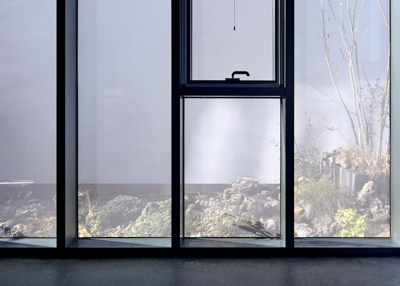 Gallery of Cheongdam Carapace / L'EAU design - 13