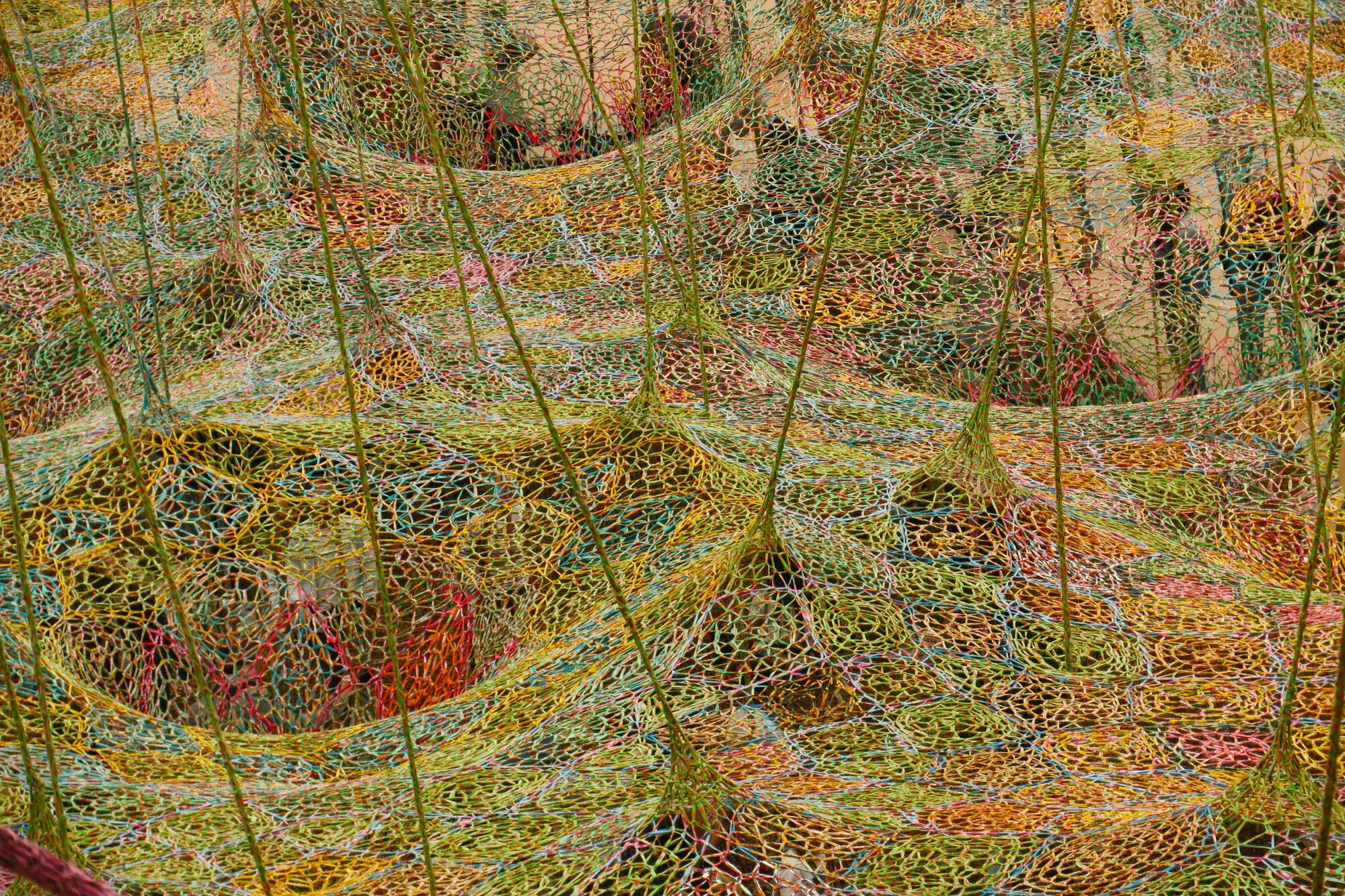 画廊 Ernesto Neto 在巴黎大皇宫，纺织空间 - 23