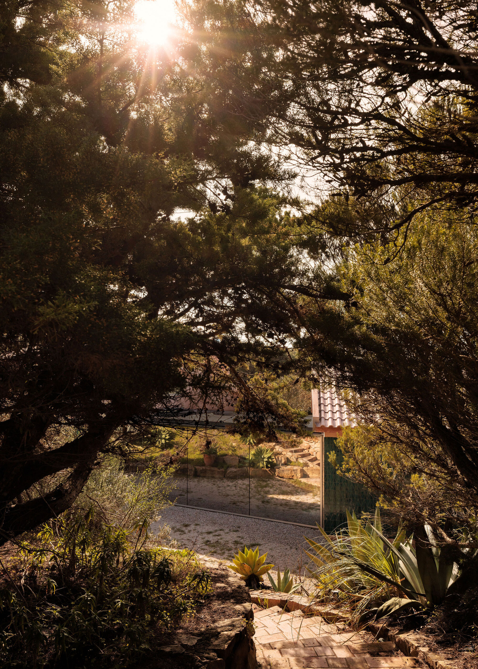 画廊 阿索亚 AIP 住宅 / João Tiago Aguiar, Arquitectos - 32