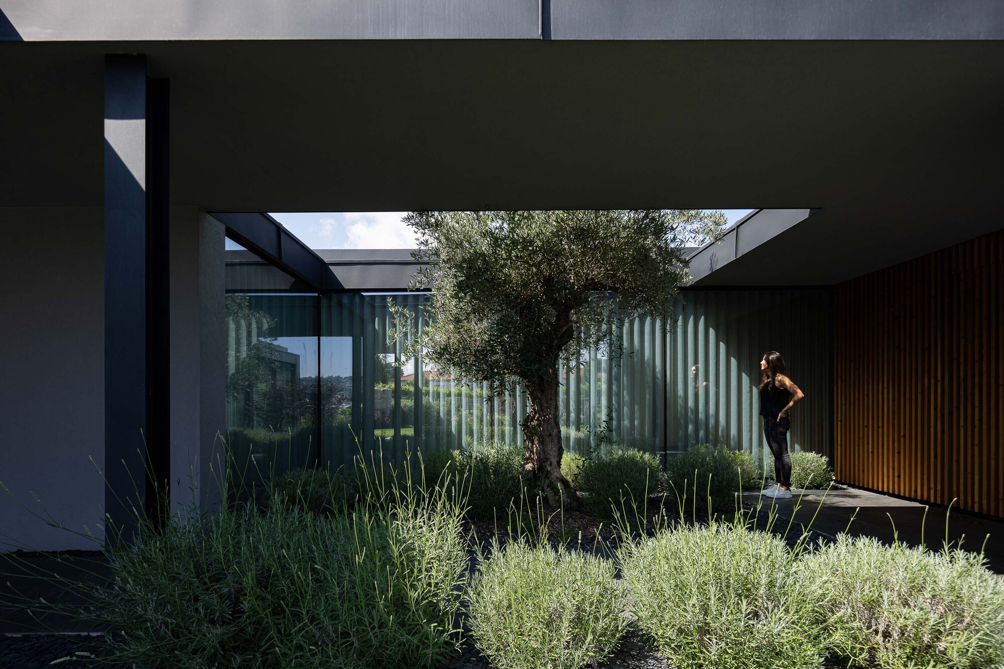 Gallery of Hillside House / Ricardo Azevedo Arquitecto - 8