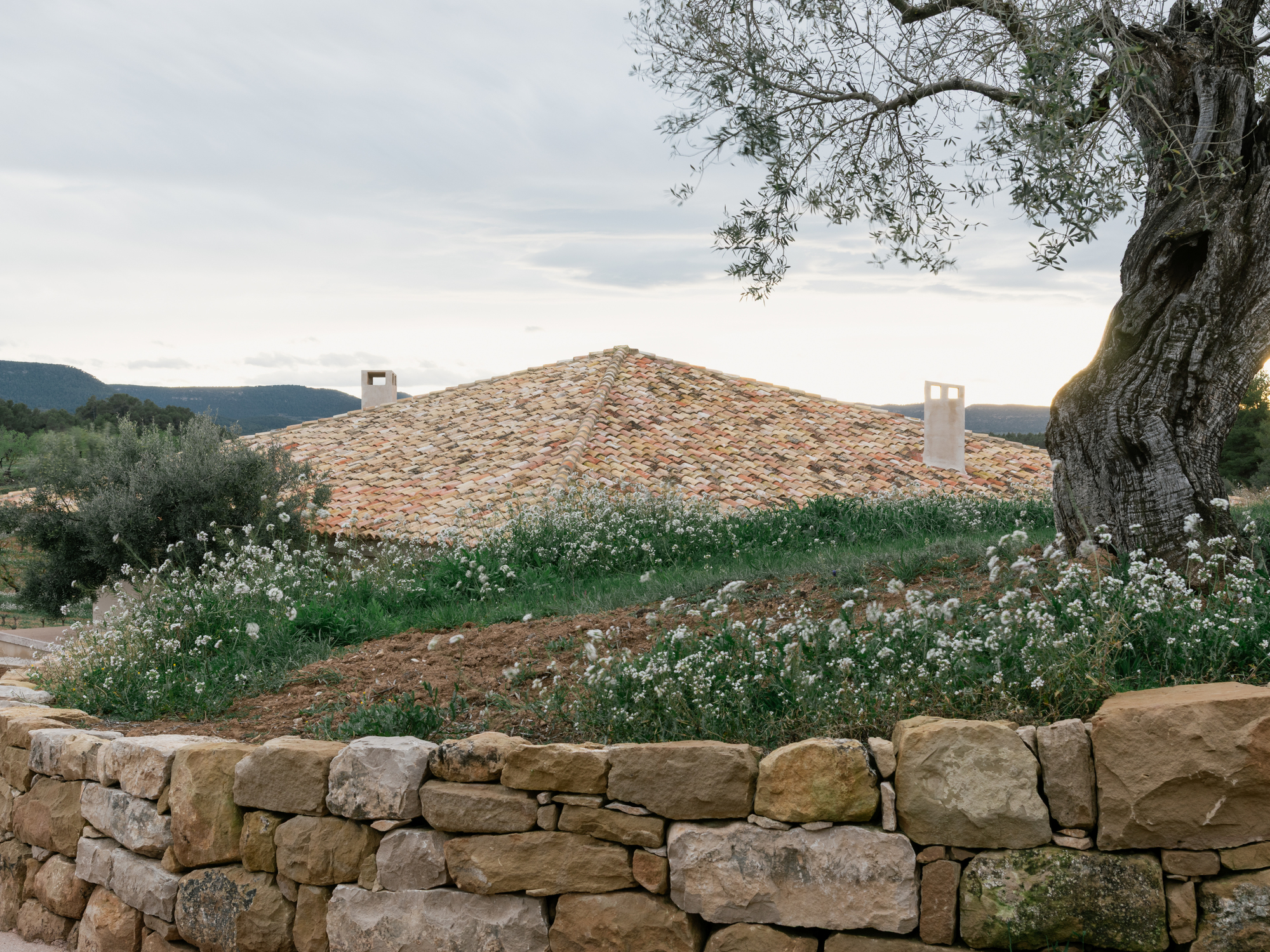 Gallery of House EF / MDBA architects - 8