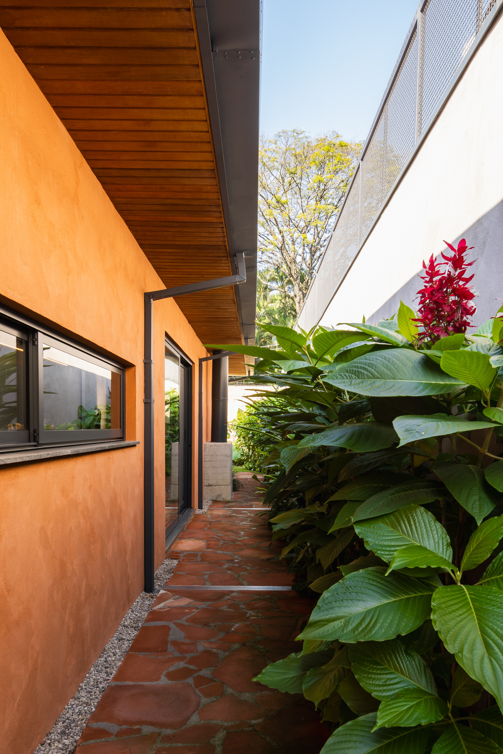 Galeria de Casa da Sabrina e do Guto / Goiva - 19