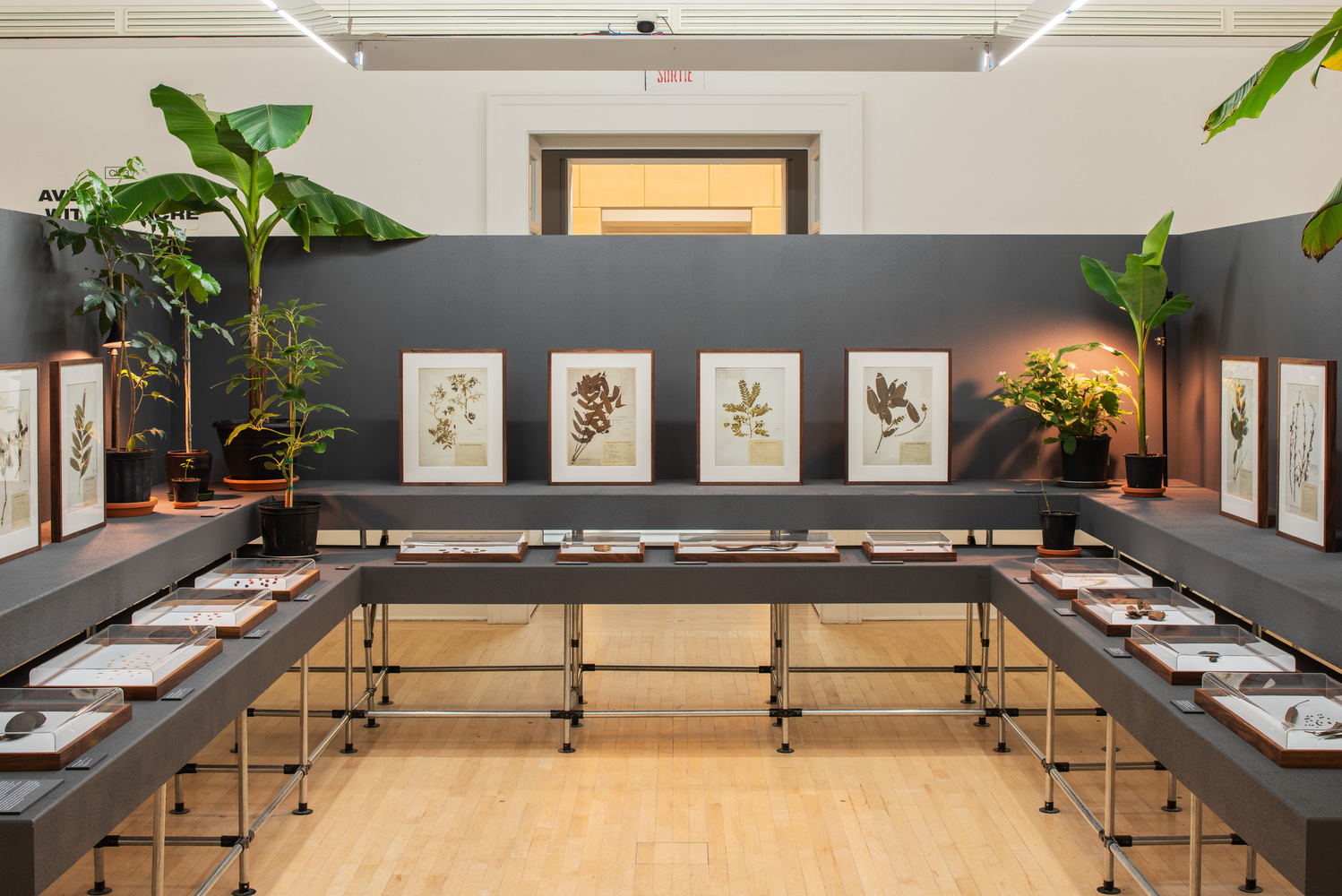 Gallery of CCA Releases Documentary on Carla Juaçaba’s Work to Support ...