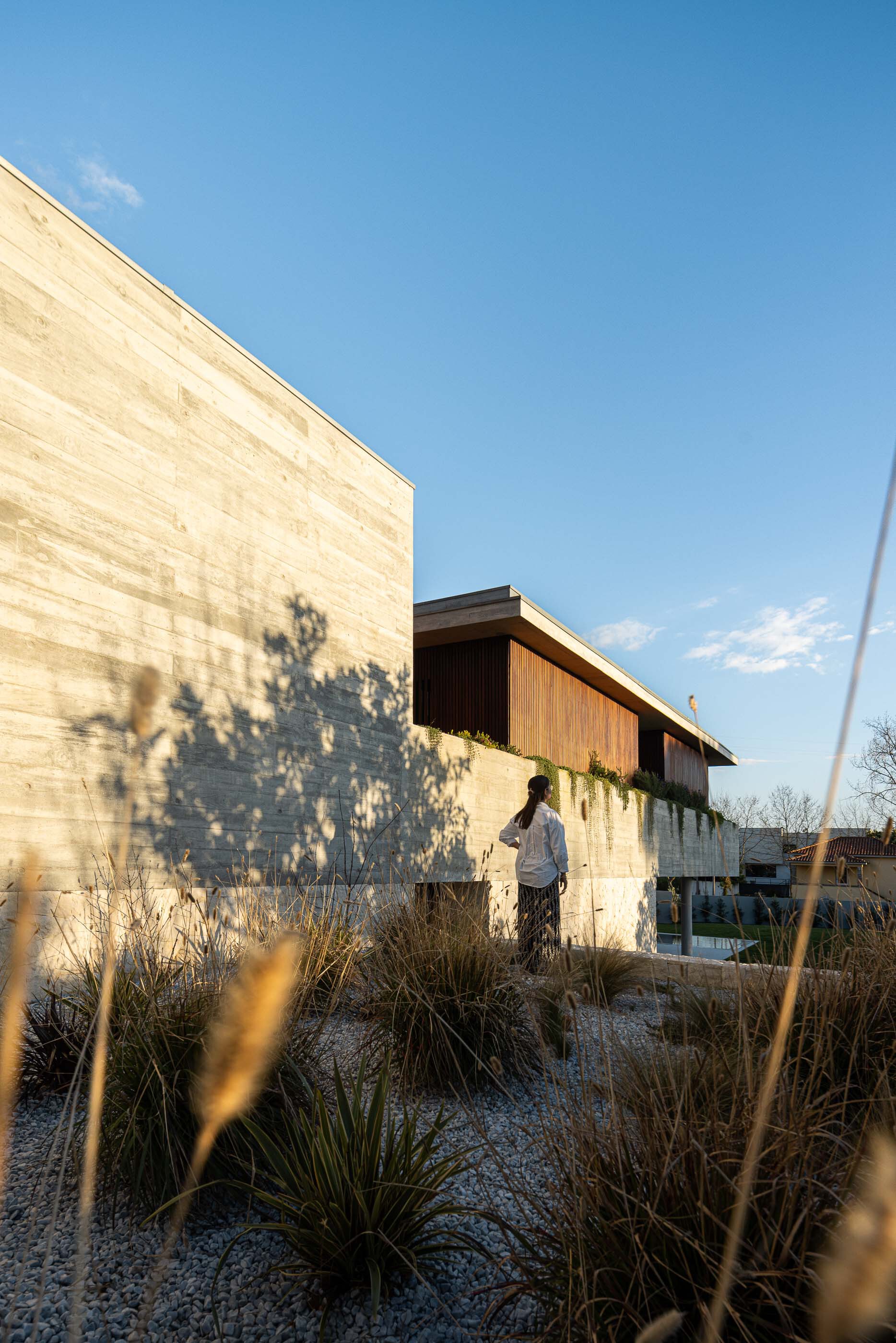 Gallery of M House / Silverline - 16