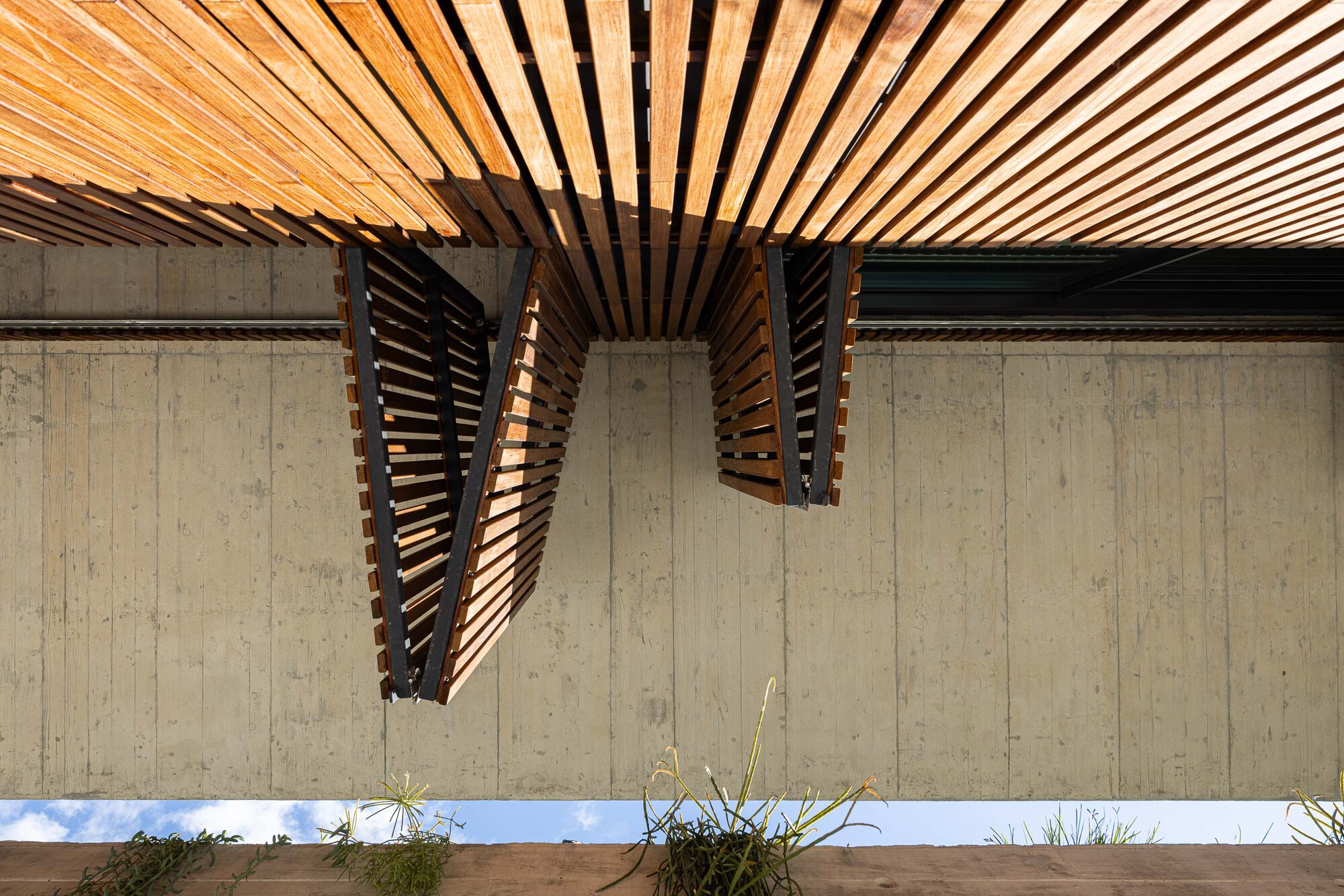 Gallery of M House / Silverline - 9